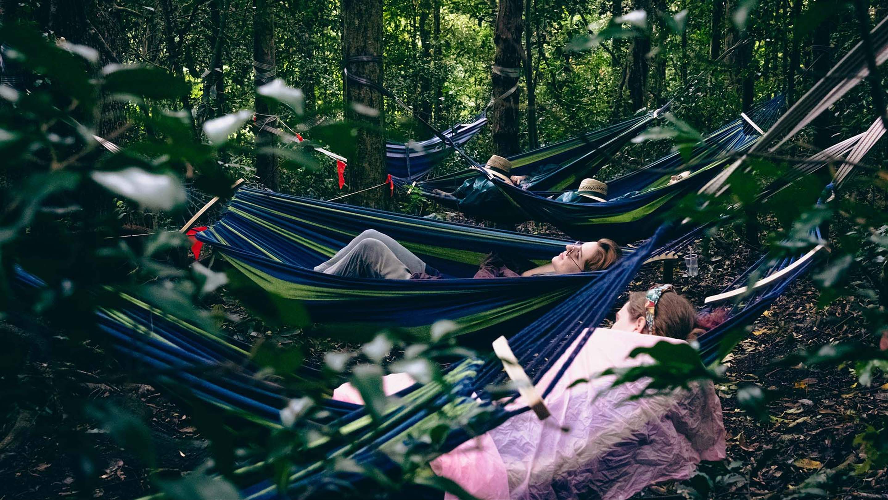 Yonder Has Unveiled the Massive Three-Day Music and Arts Lineup for Its ...