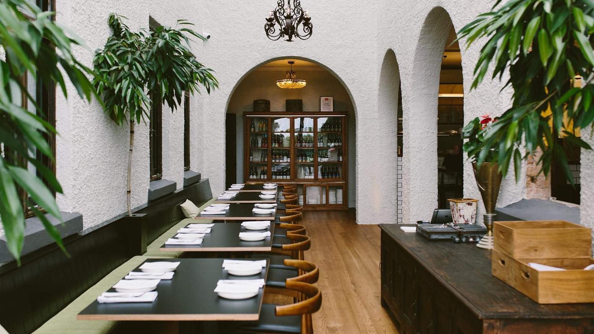 Ada, Auckland Review