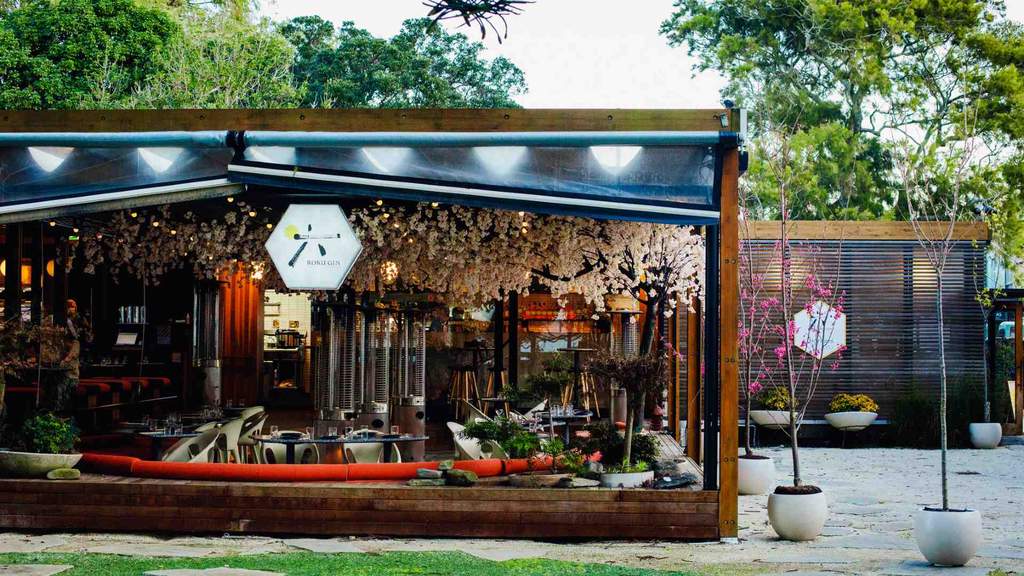 Hanami at Azabu Mission Bay, Auckland