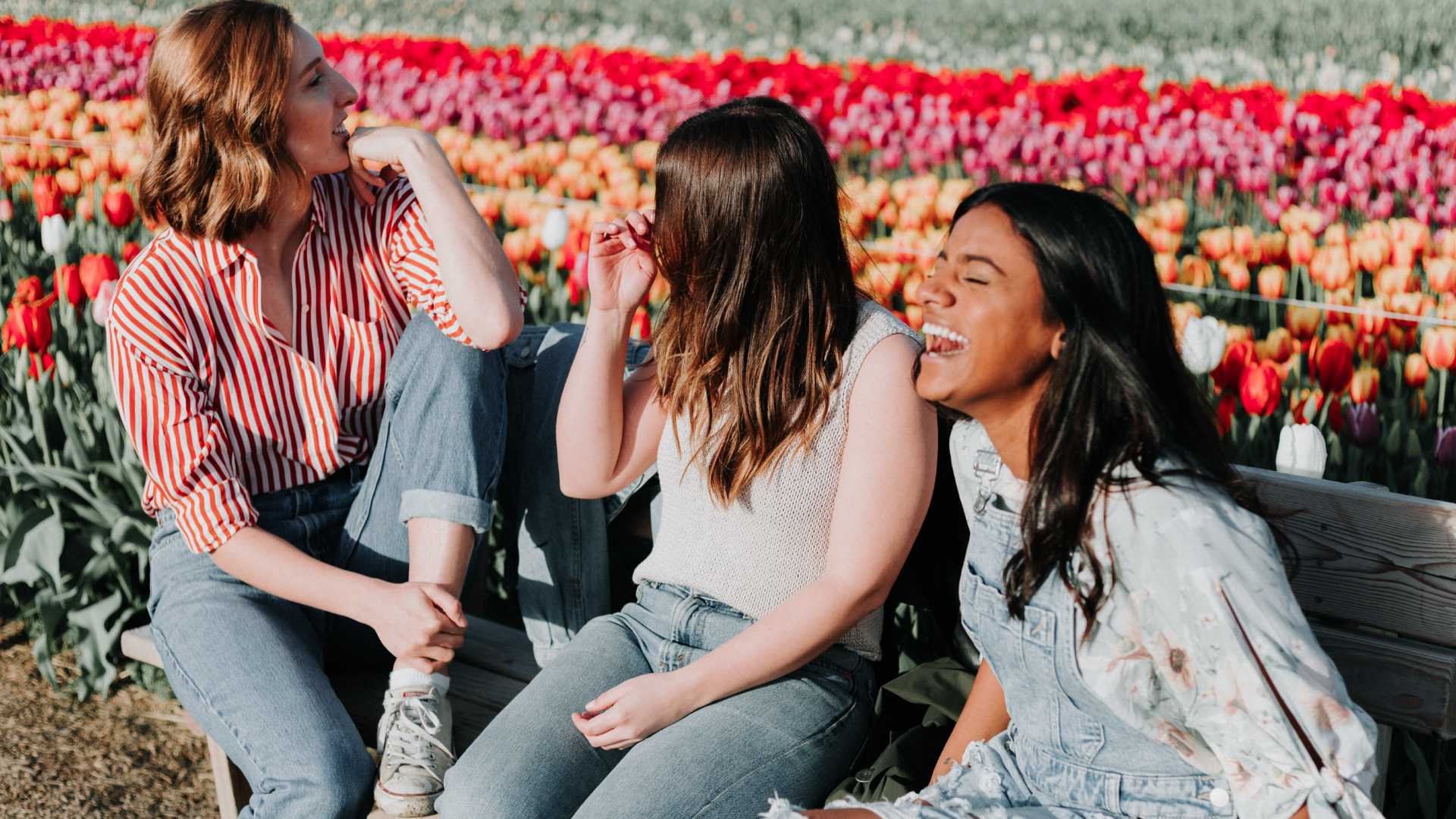 Meet a Mate: Friendship Speed Dating - Concrete Playground