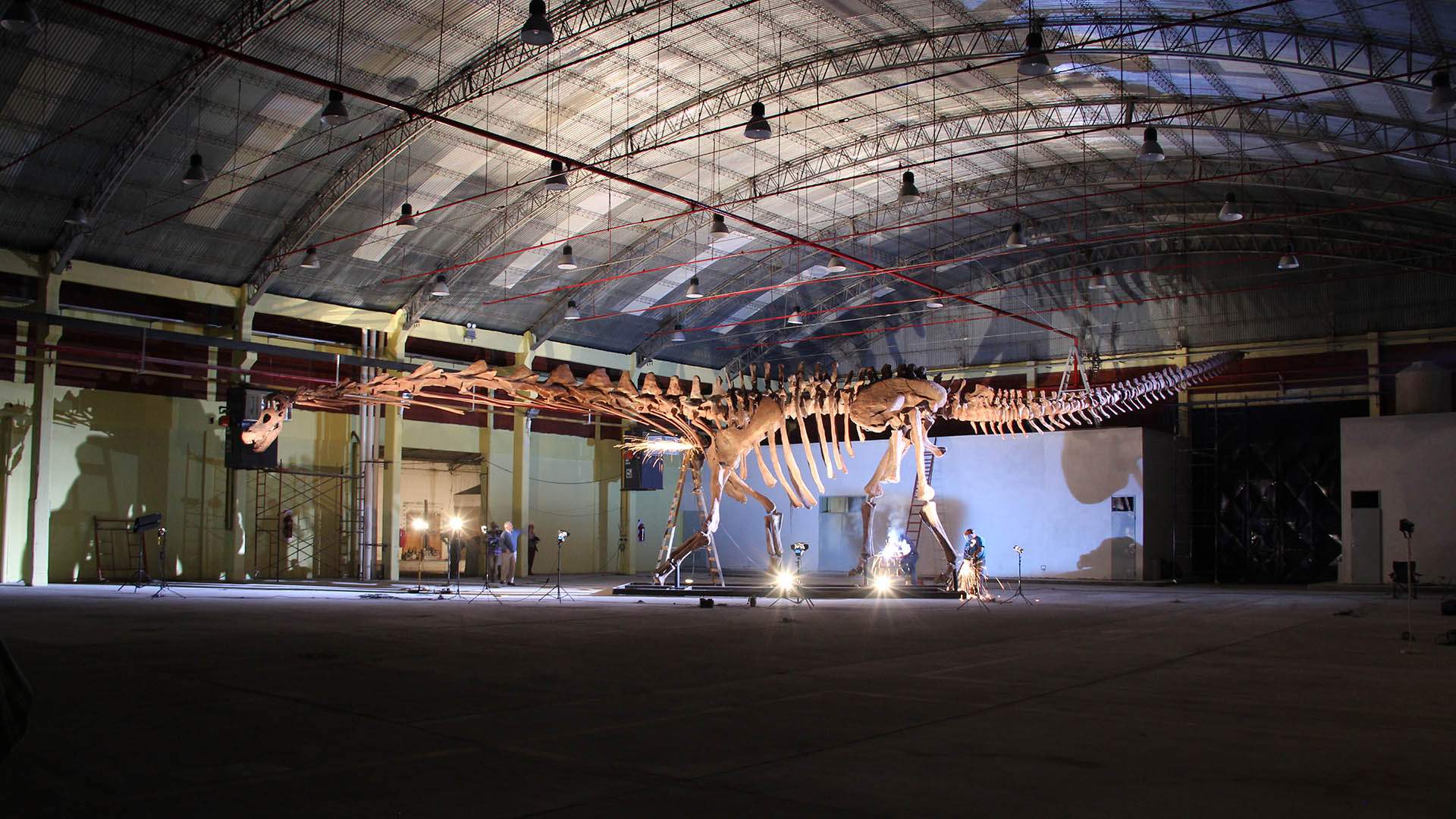A Massive Dinosaur Exhibition Featuring the Largest-Known Land Animal ...