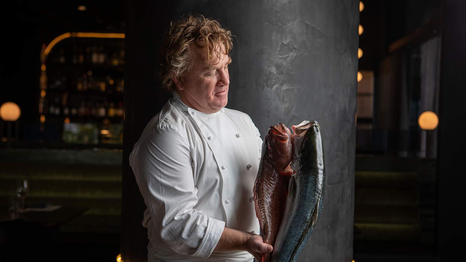 BOS, Brisbane City Review