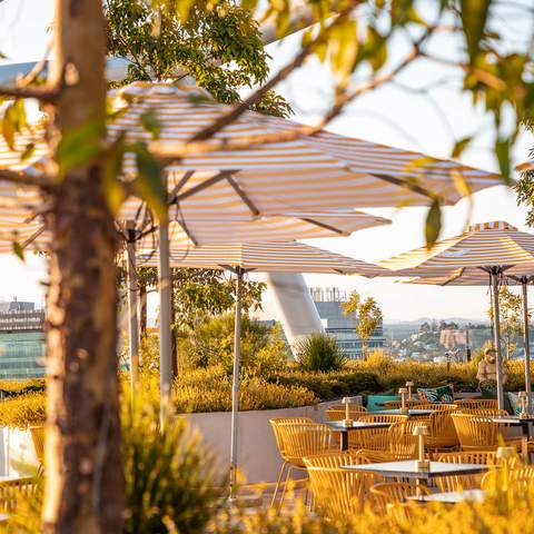 Now Open: Soko Rooftop Is Fortitude Valley's Luxe New 14th-Floor ...