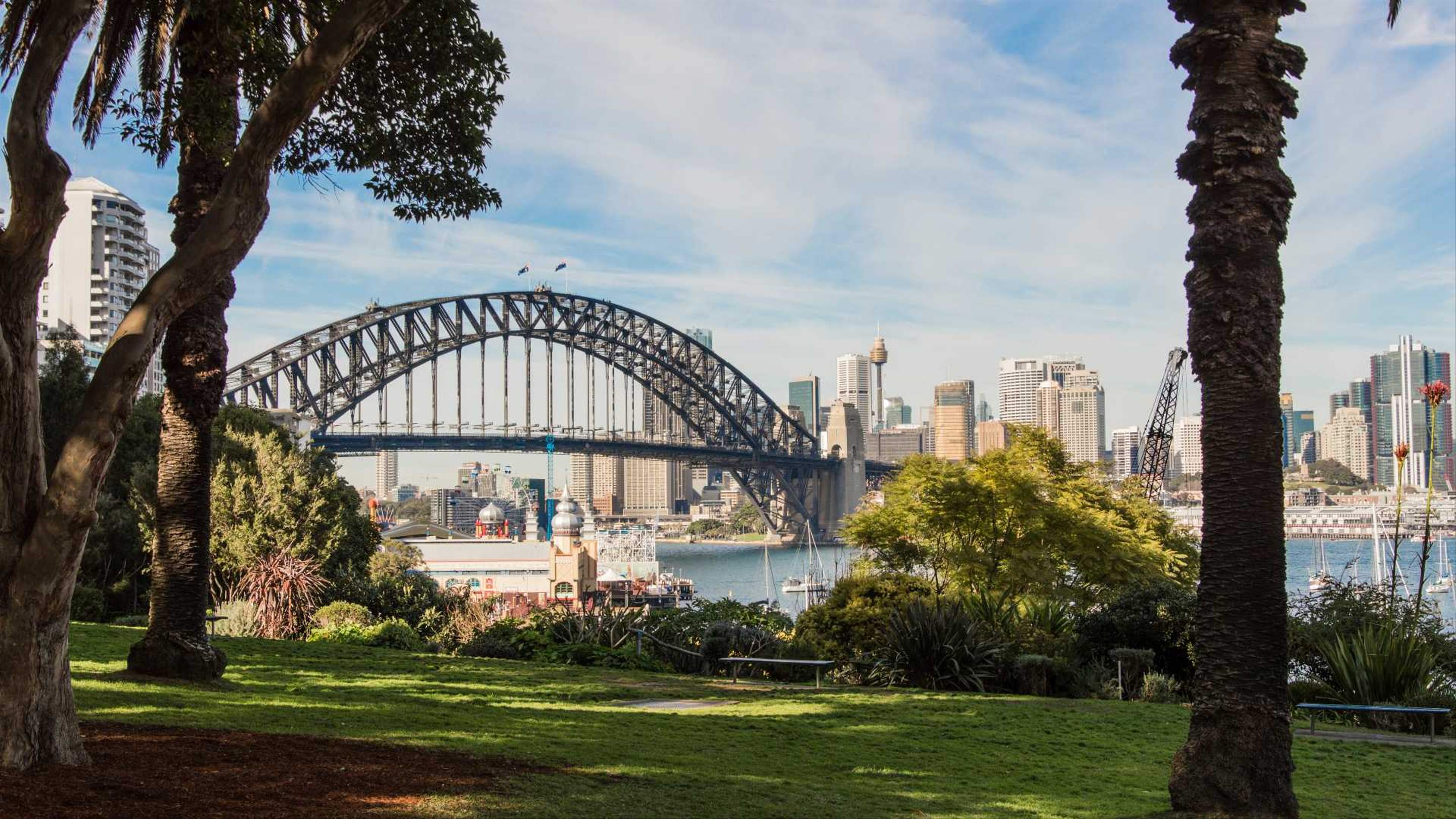 Sydney's Most Beautiful Night Views for When You're Not Quite Ready to ...