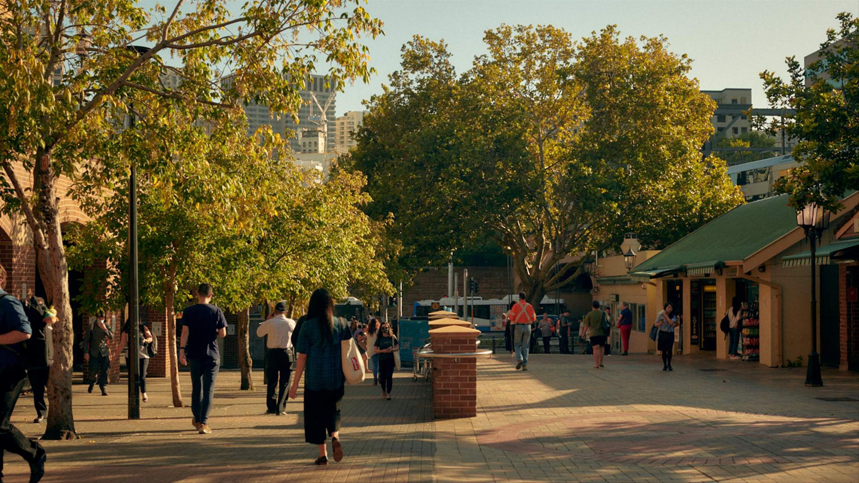 EDDY Is the Cultural Precinct Taking Over Central Station's Eddy Avenue ...