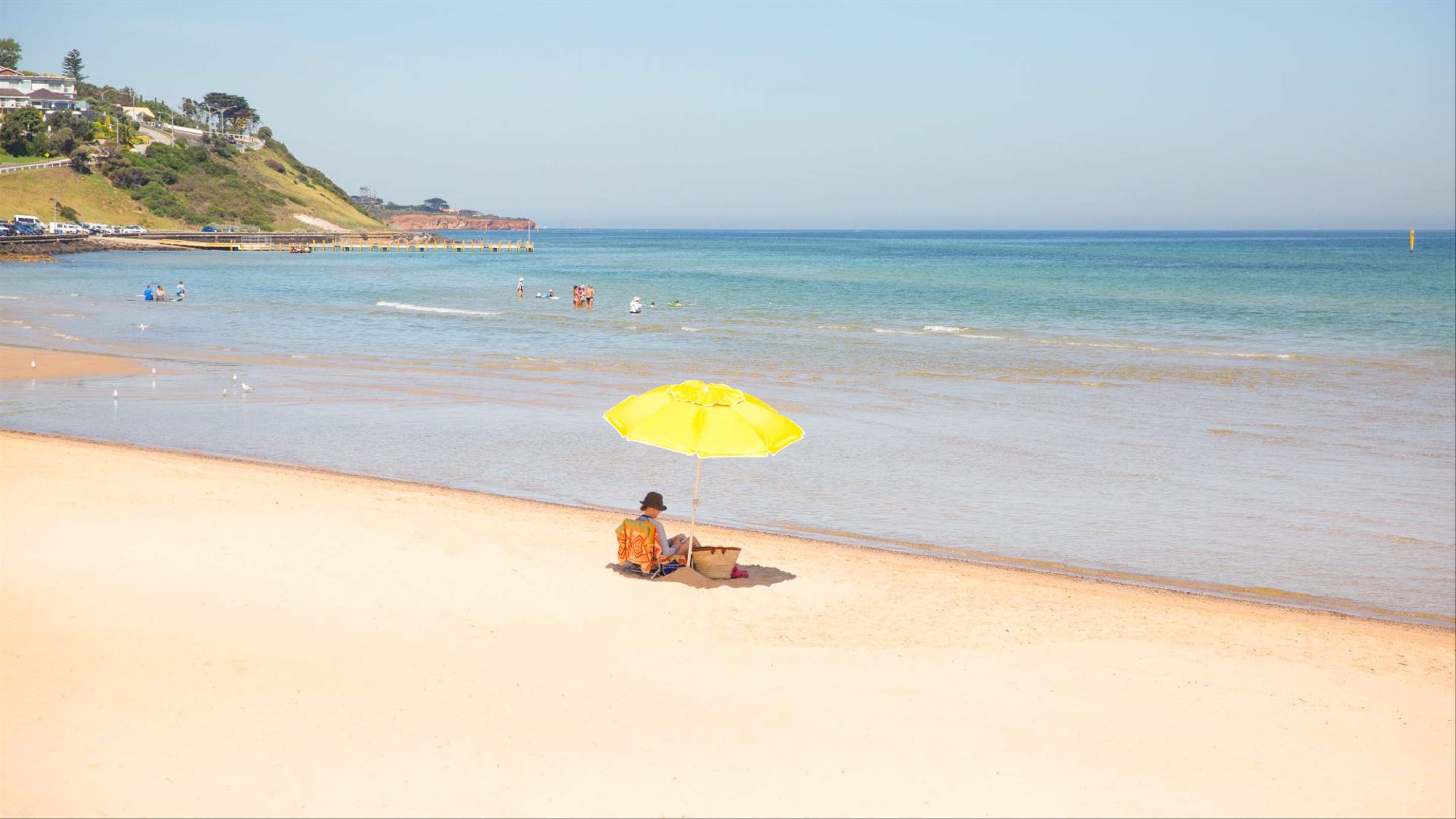 Seven Reasons to Put Frankston on Your Must-Visit List This Summer ...