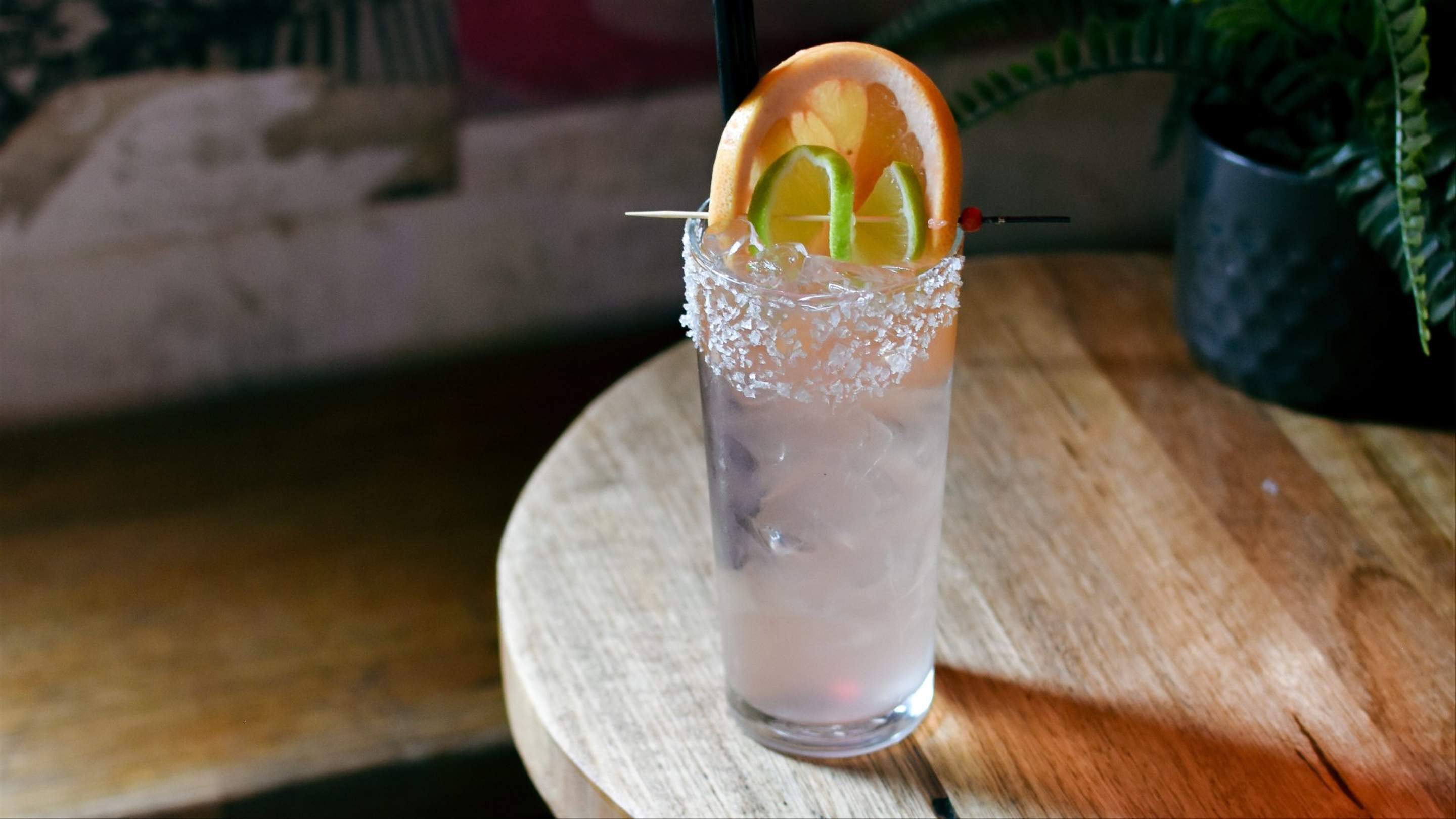 Jamuary - Concrete Playground