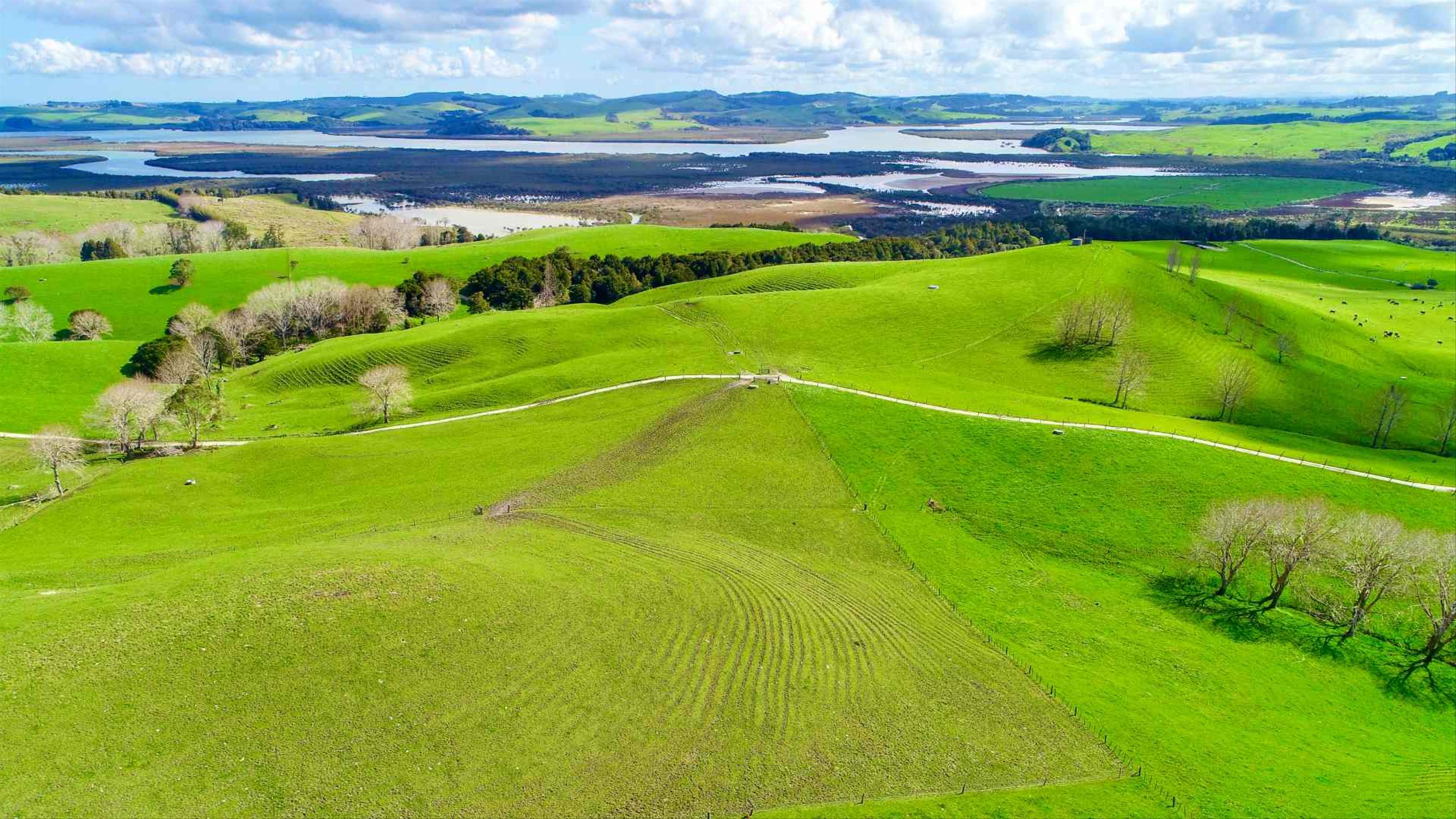 This 340-Acre Patch of Farmland North of Auckland Is Being Turned Into ...