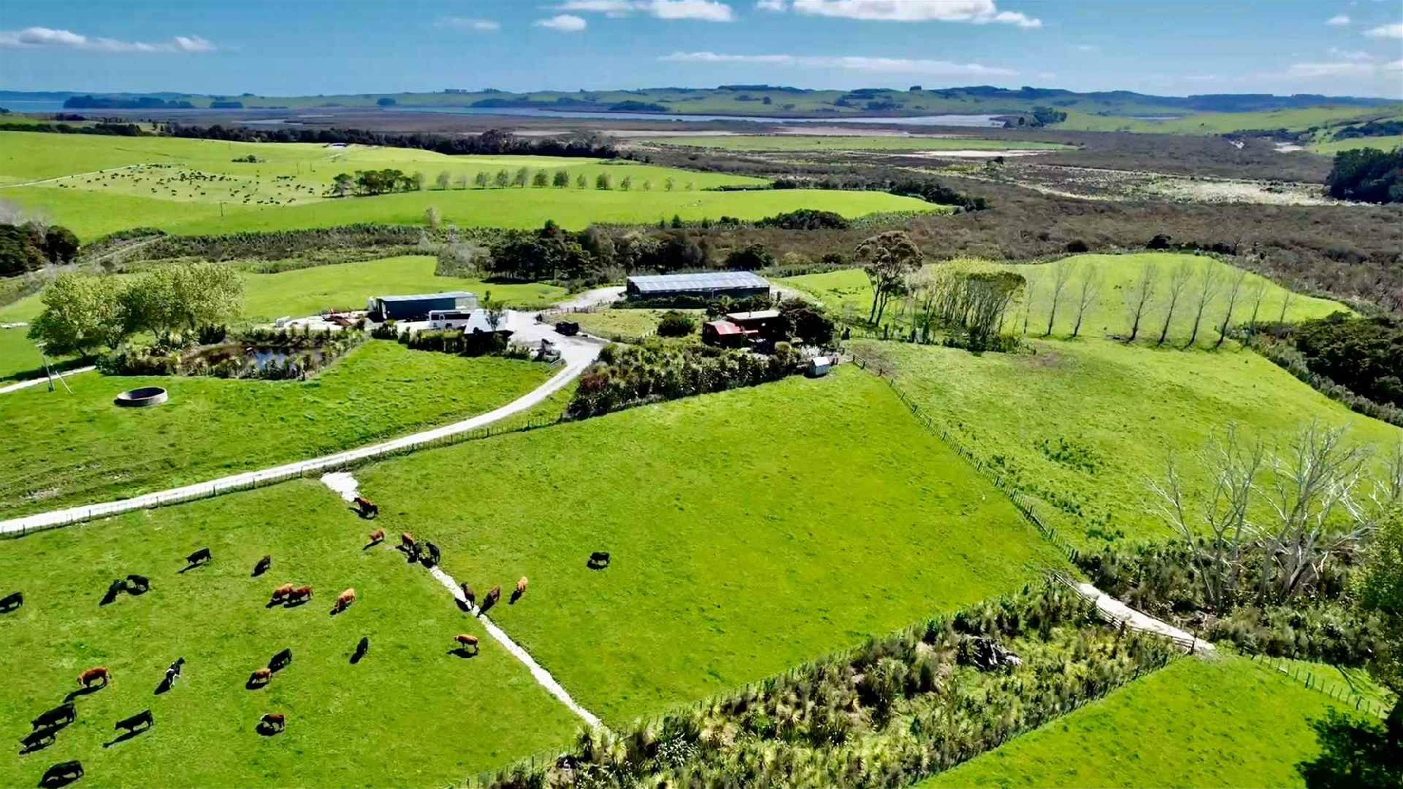 This 340-Acre Patch of Farmland North of Auckland Is Being Turned Into ...