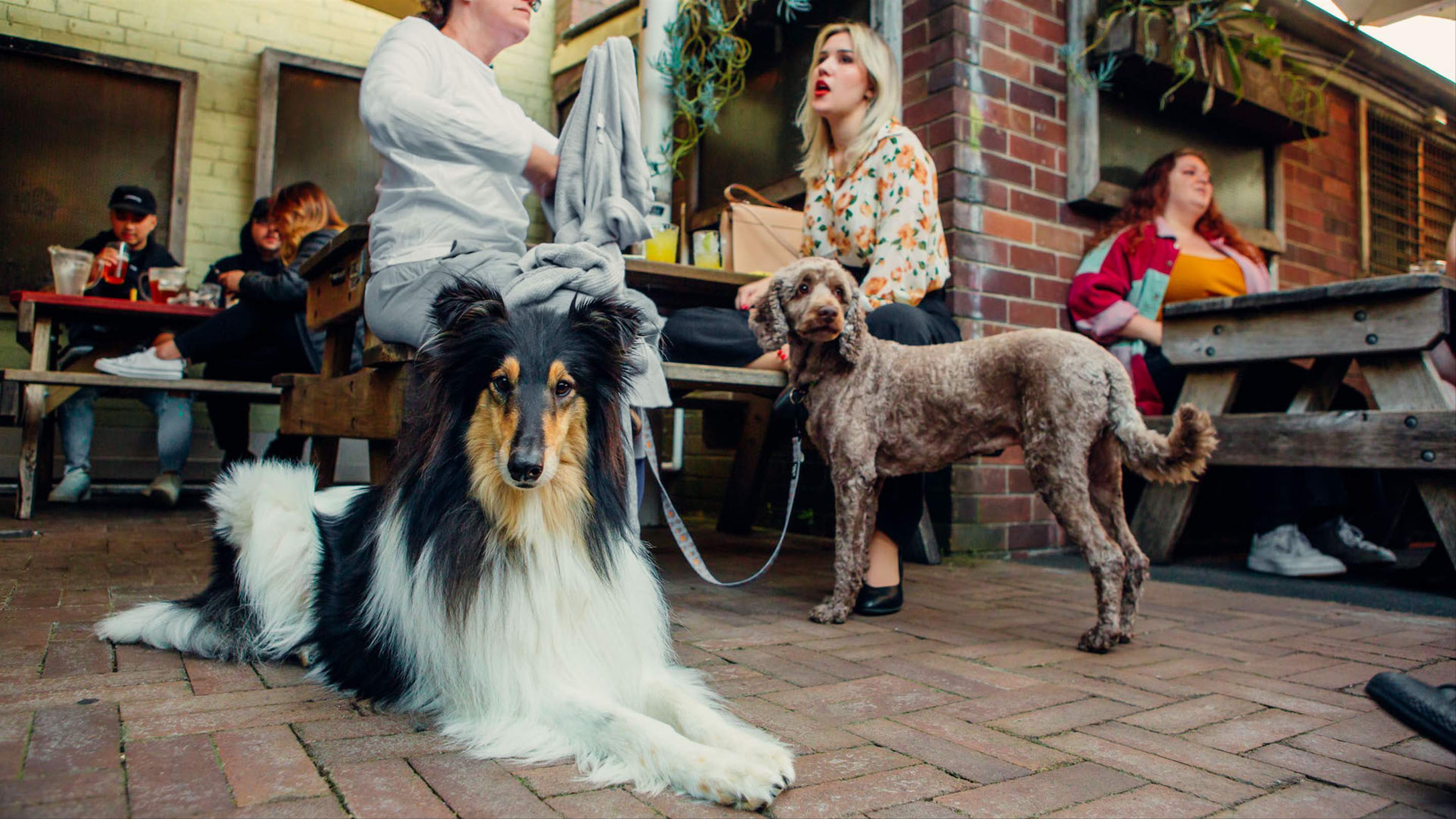 The Courthouse Hotel, Newtown Review