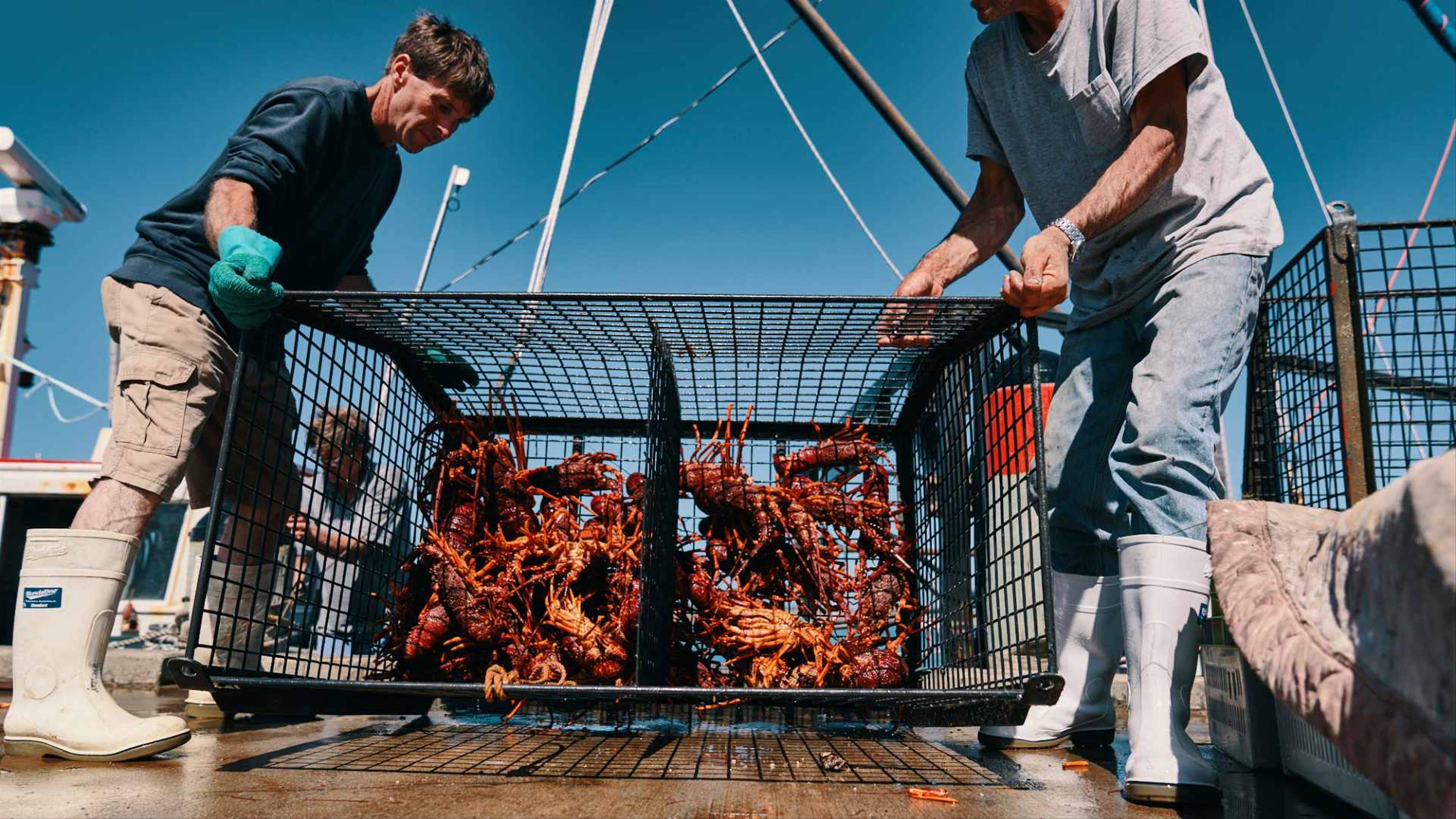 Apollo Bay Seafood Festival 2023 - Concrete Playground