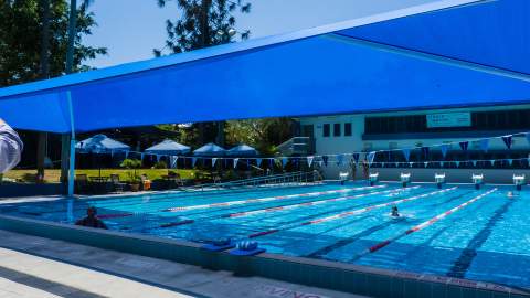 Grab Your Togs: You Can Swim in Brisbane City Council's 22 Public Pools ...