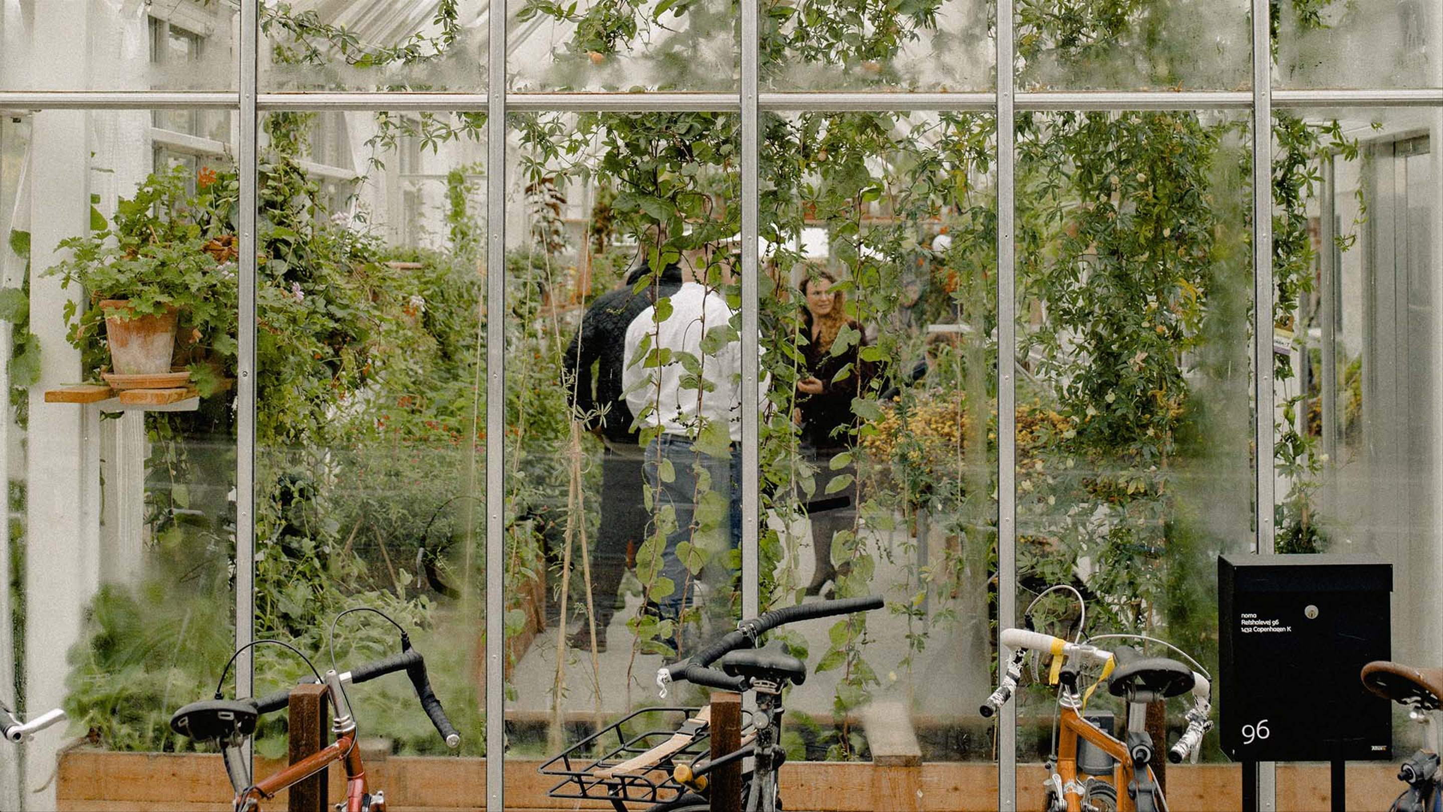 René Redzepi's Acclaimed Noma Is Closing in 2024 to Become a Food ...