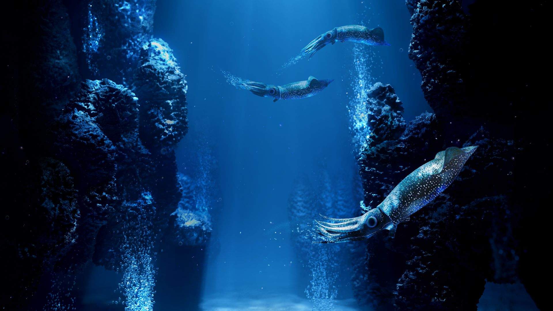 Sea Life Melbourne's New Digital Exhibition Is Dedicated to the Deep ...