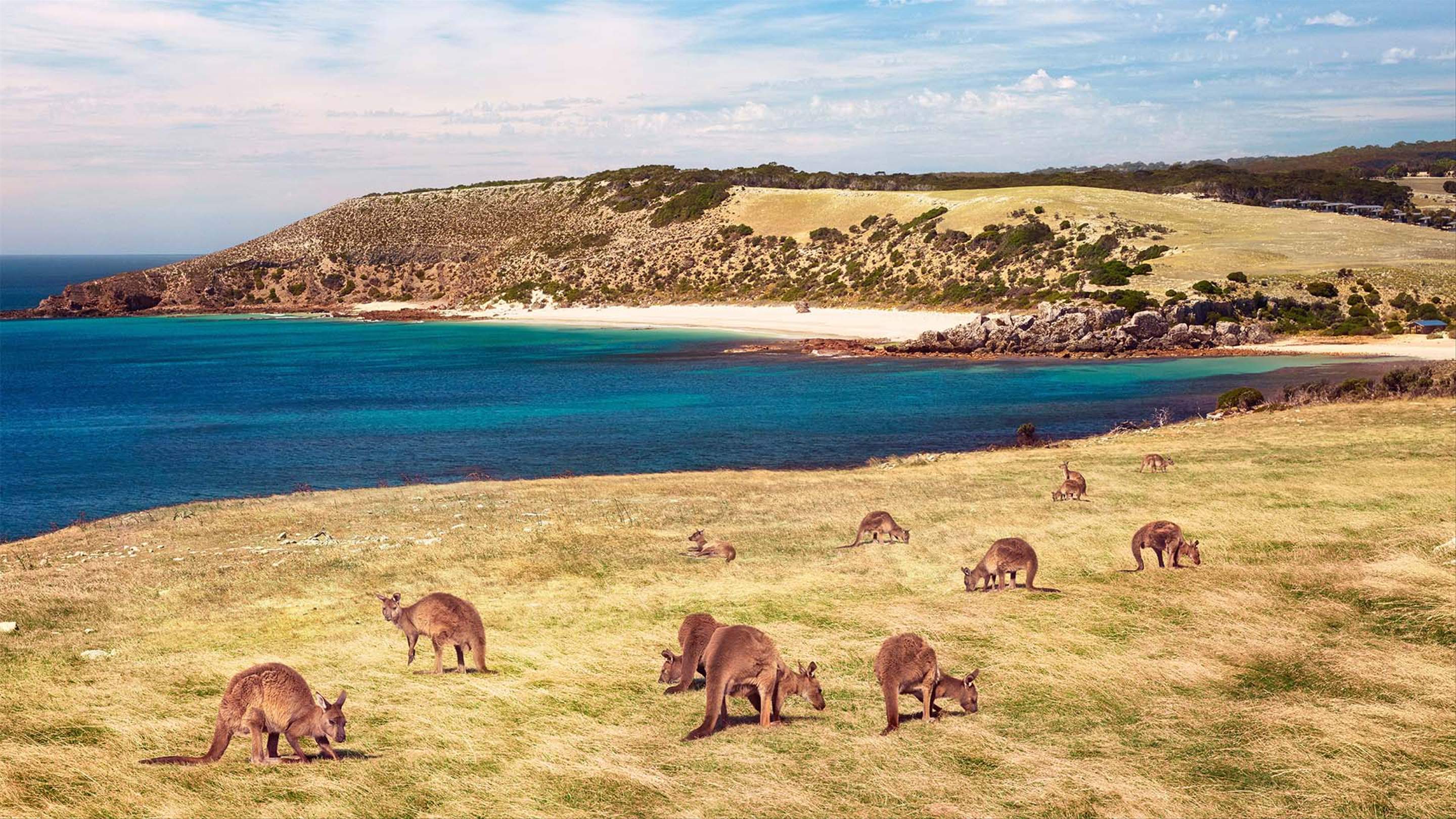 South Australia's Stokes Bay on Kangaroo Island Has Been Named ...