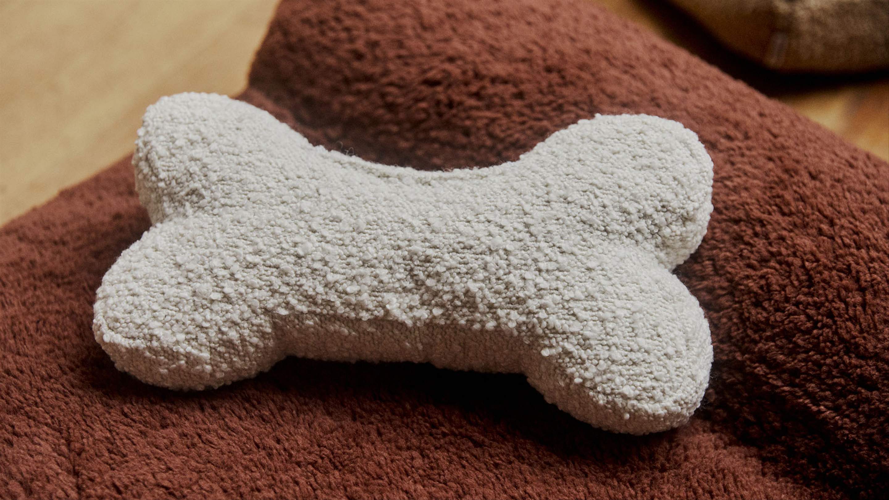 Hommey Has Launched Its First-Ever Pet Bed, Pillow and Blanket ...