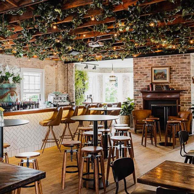 Rose of Australia, Erskineville Review