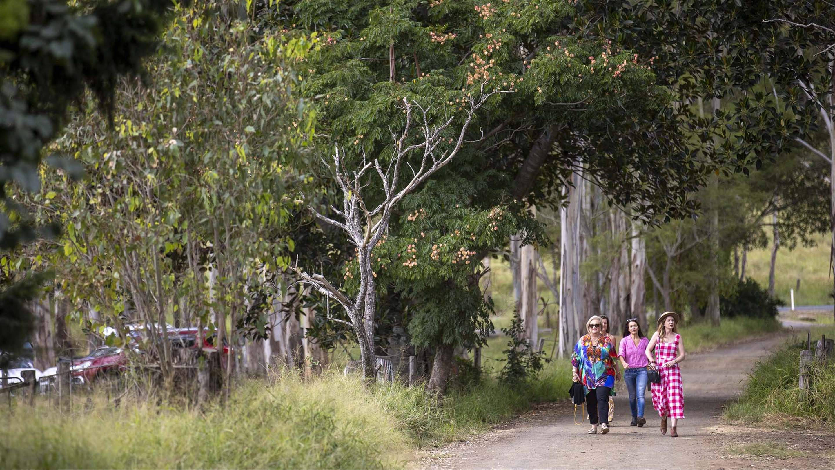 Scenic Rim Farm Gate Trail, Brisbane: All the Details
