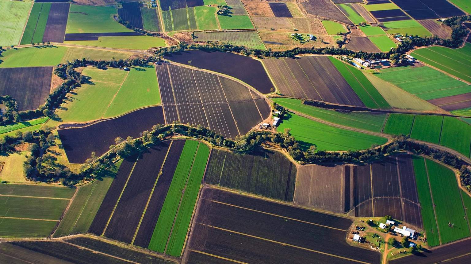 Scenic Rim Farm Gate Trail, Brisbane: All the Details