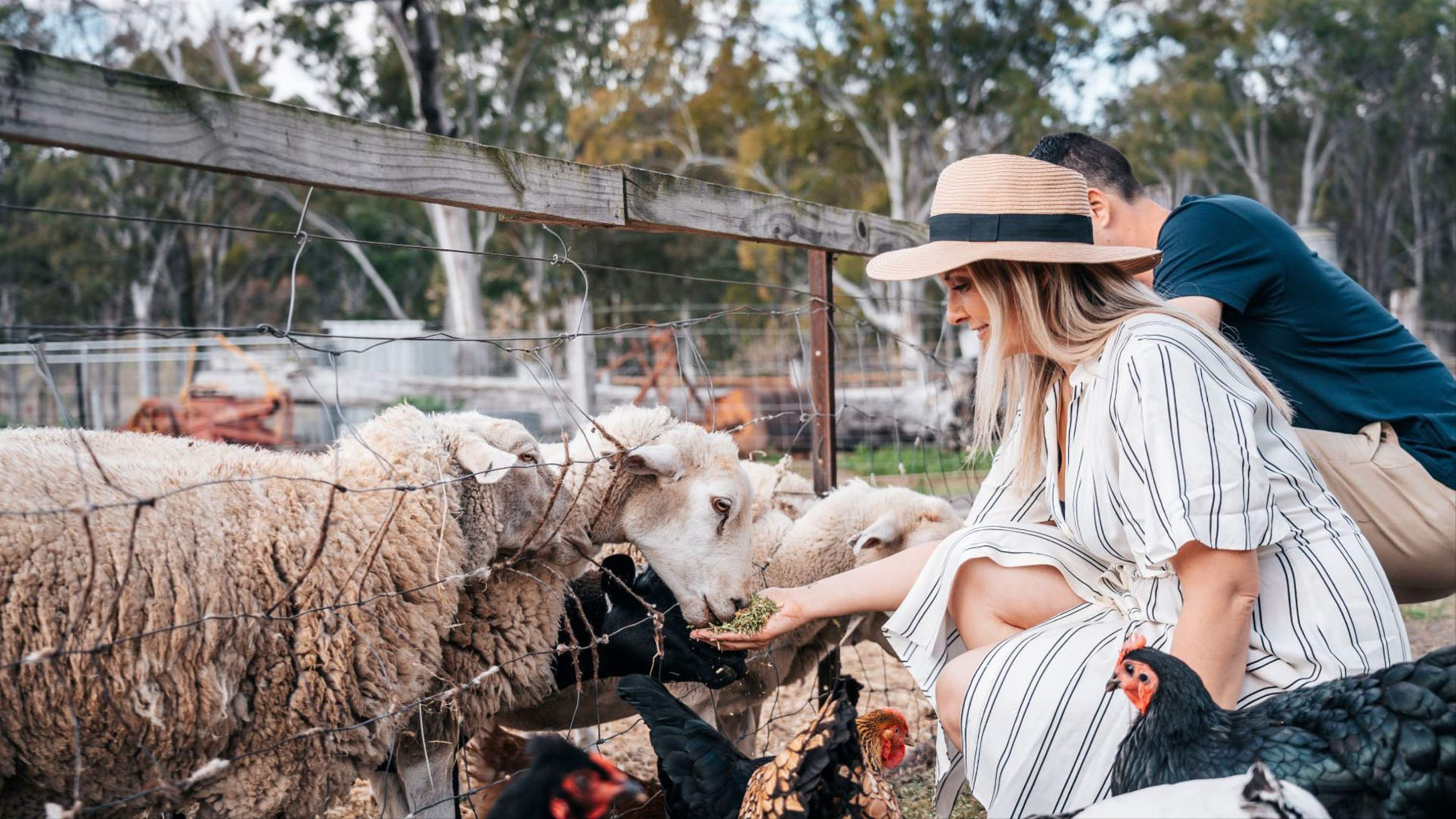 Scenic Rim Farm Gate Trail 2023 - Concrete Playground