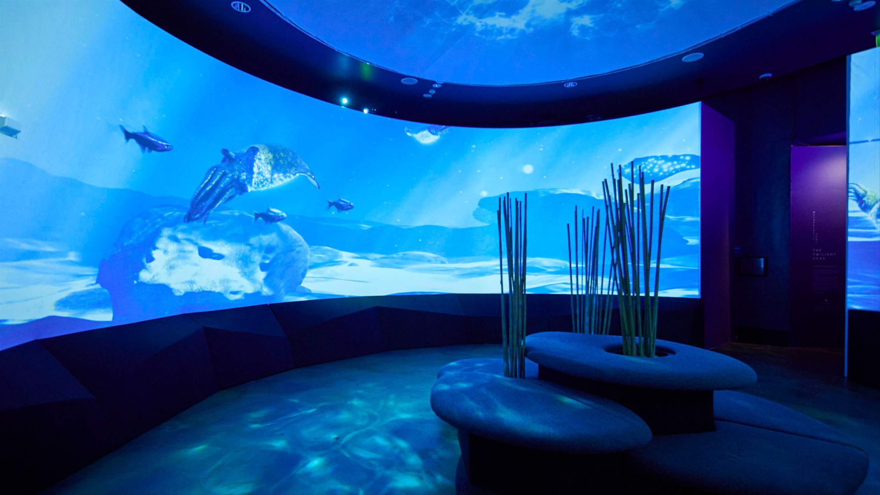 Submerged - Concrete Playground