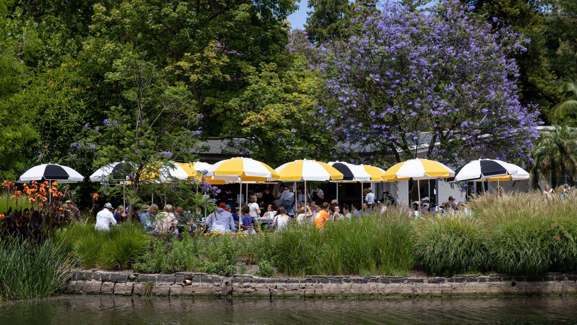 The Terrace Cafe, South Yarra Review