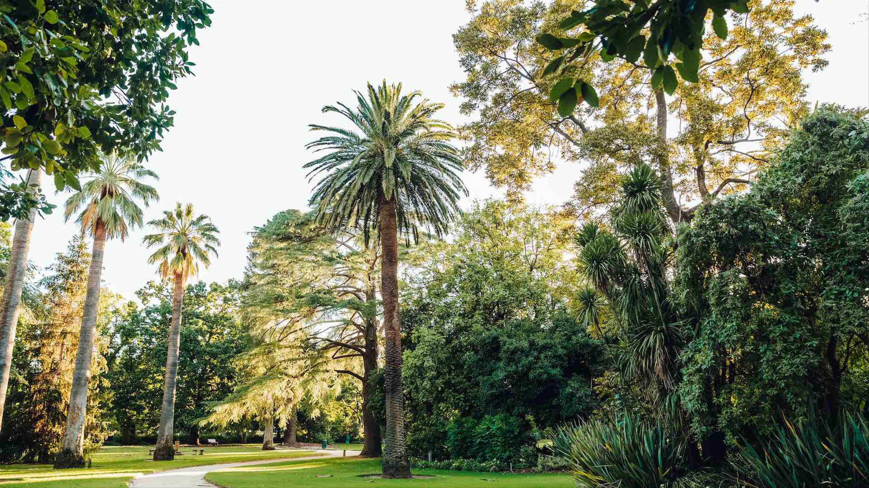 Where to Rejuvenate and Soak Up Classic Aussie Nature in Stunning River ...