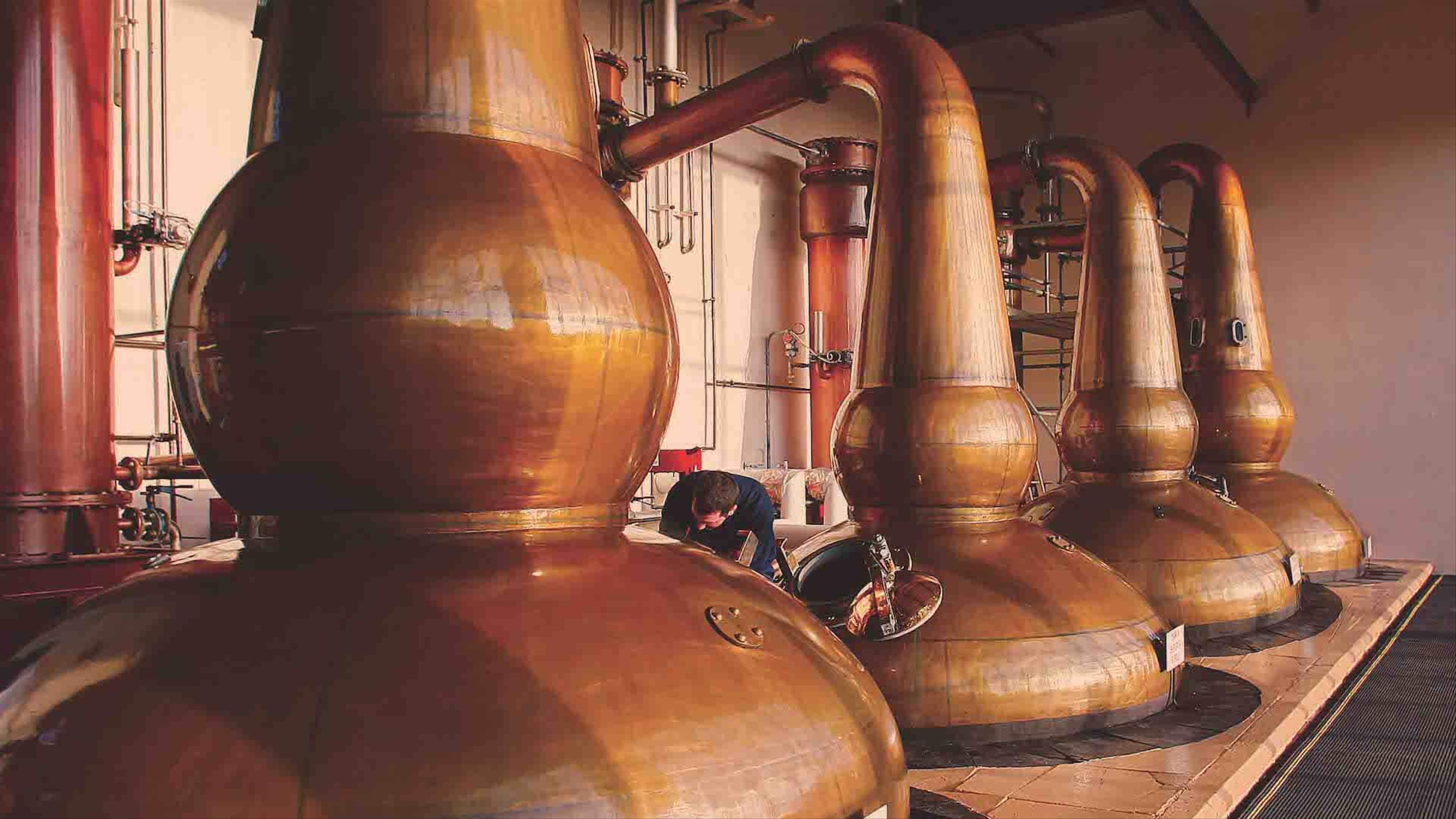 The Best Advice Ever: Dr Rachel Barrie on Blending Flavours, Her Legacy ...