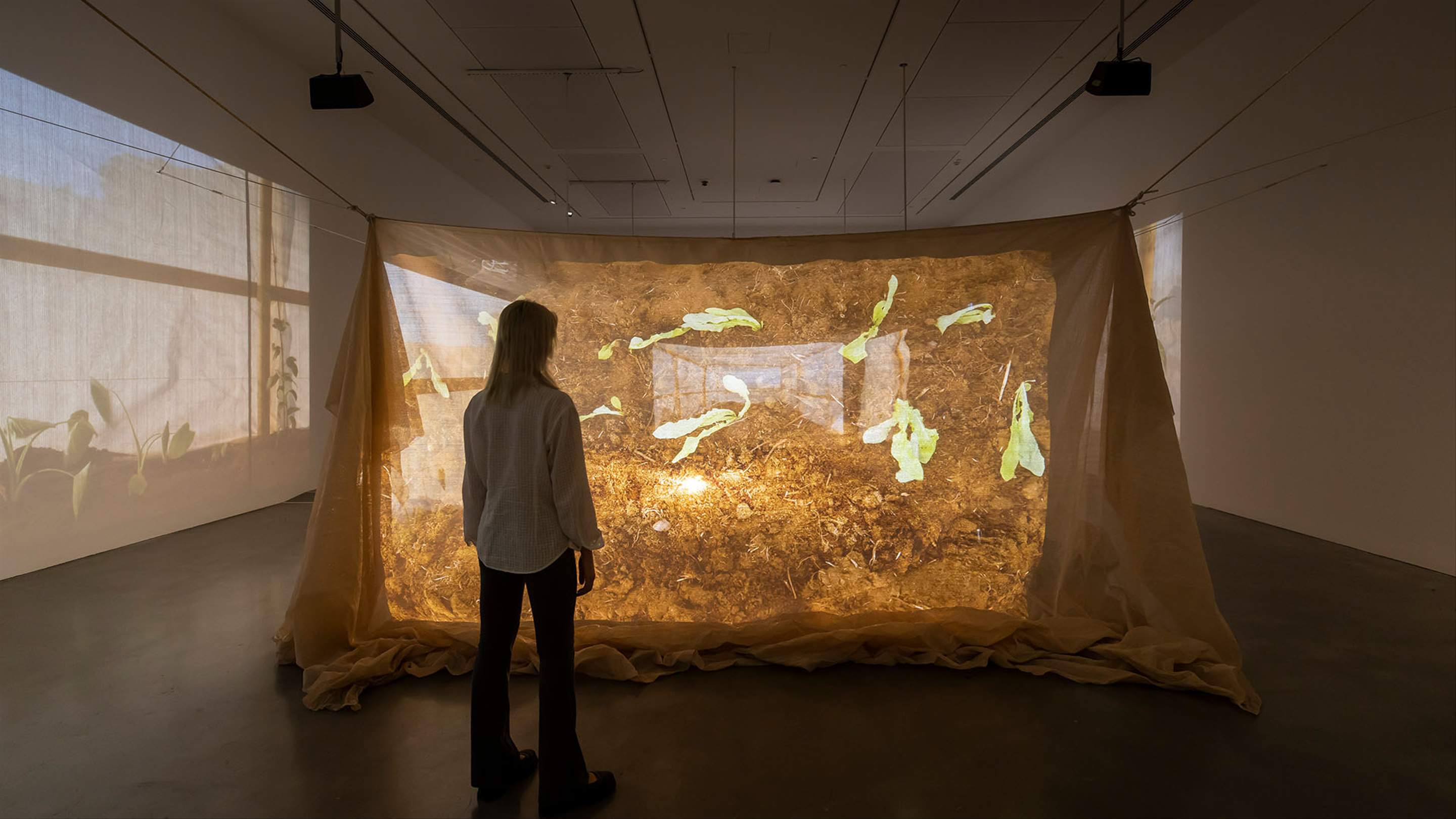 Free Citywide Art Exhibition 'The National' Returns Across Four Sydney ...