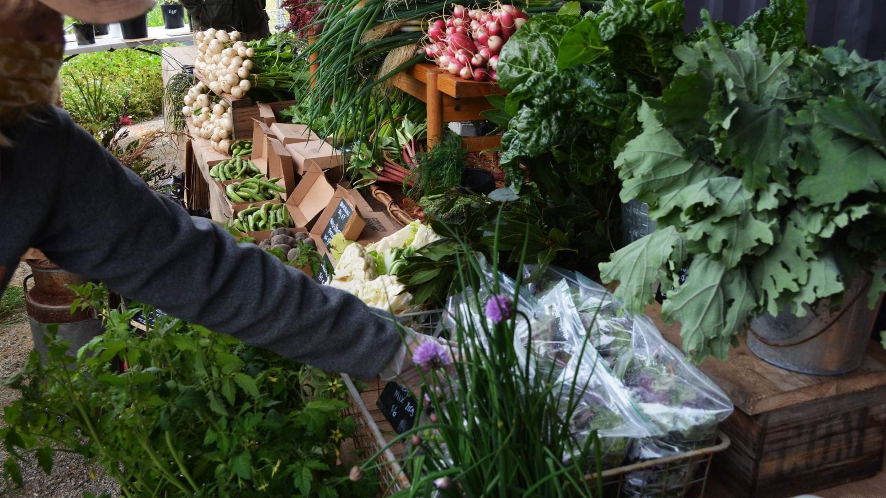 Common Ground Project's Pop-Up Food Hub - Concrete Playground