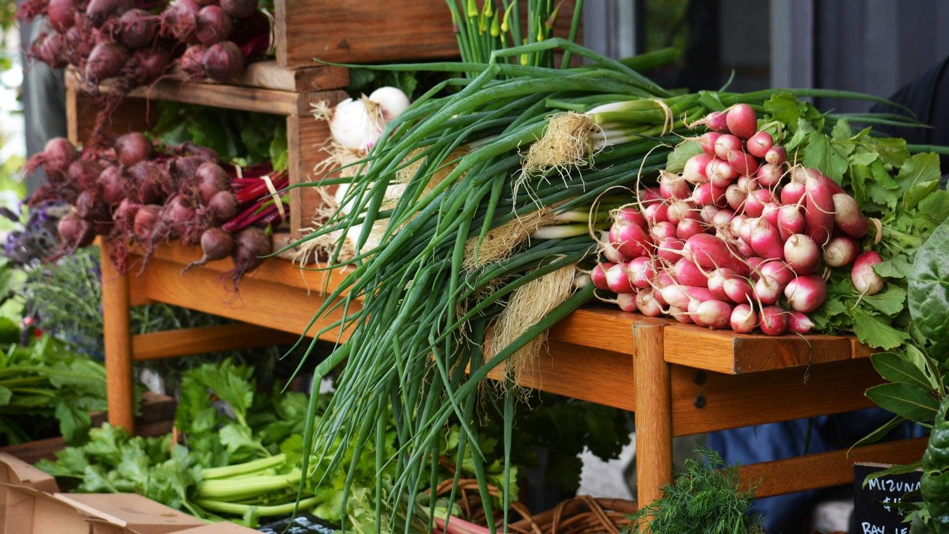 Common Ground Project's Pop-Up Food Hub - Concrete Playground