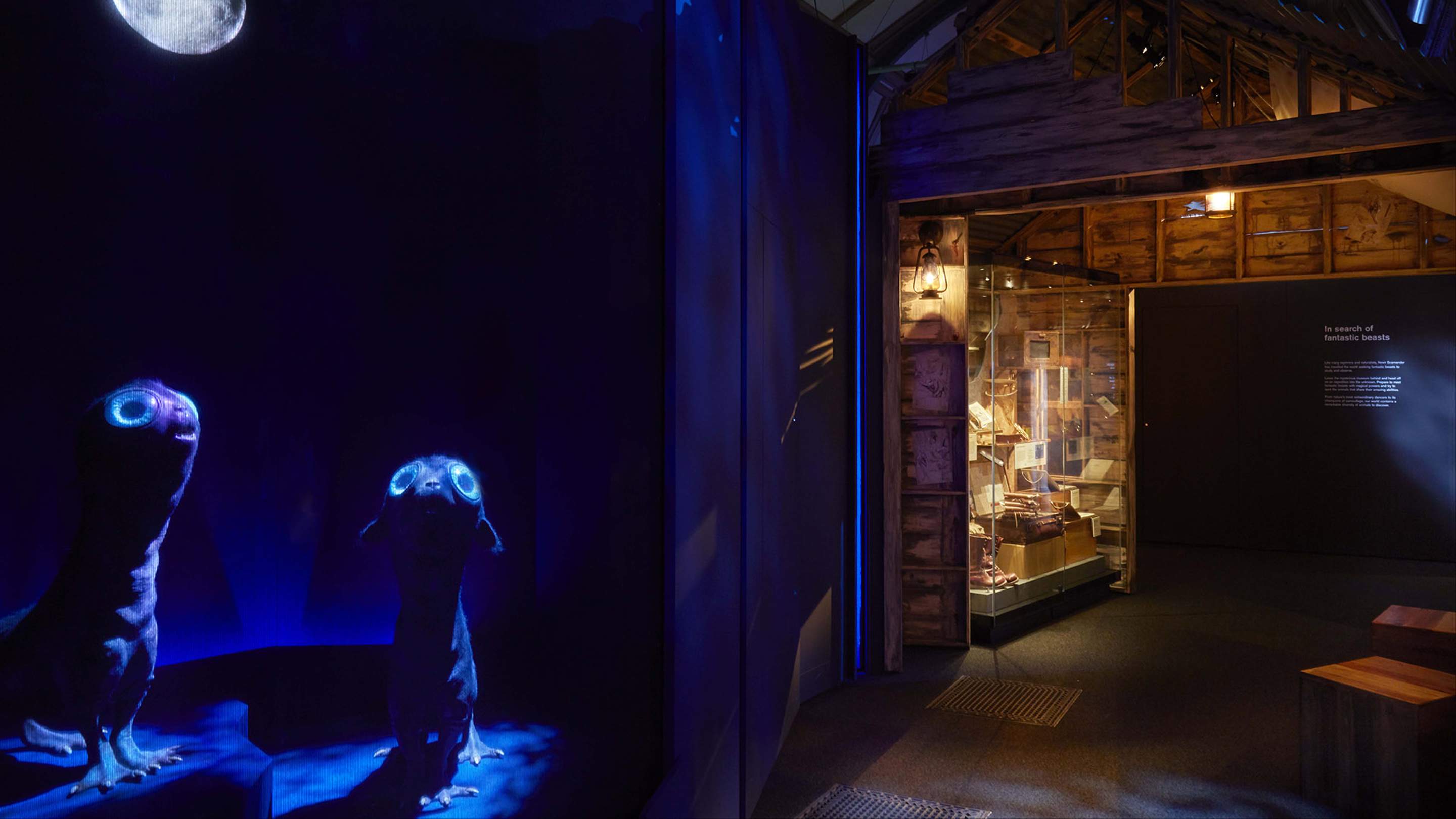 'Fantastic Beasts' Has Been Turned Into a Natural History Exhibition ...