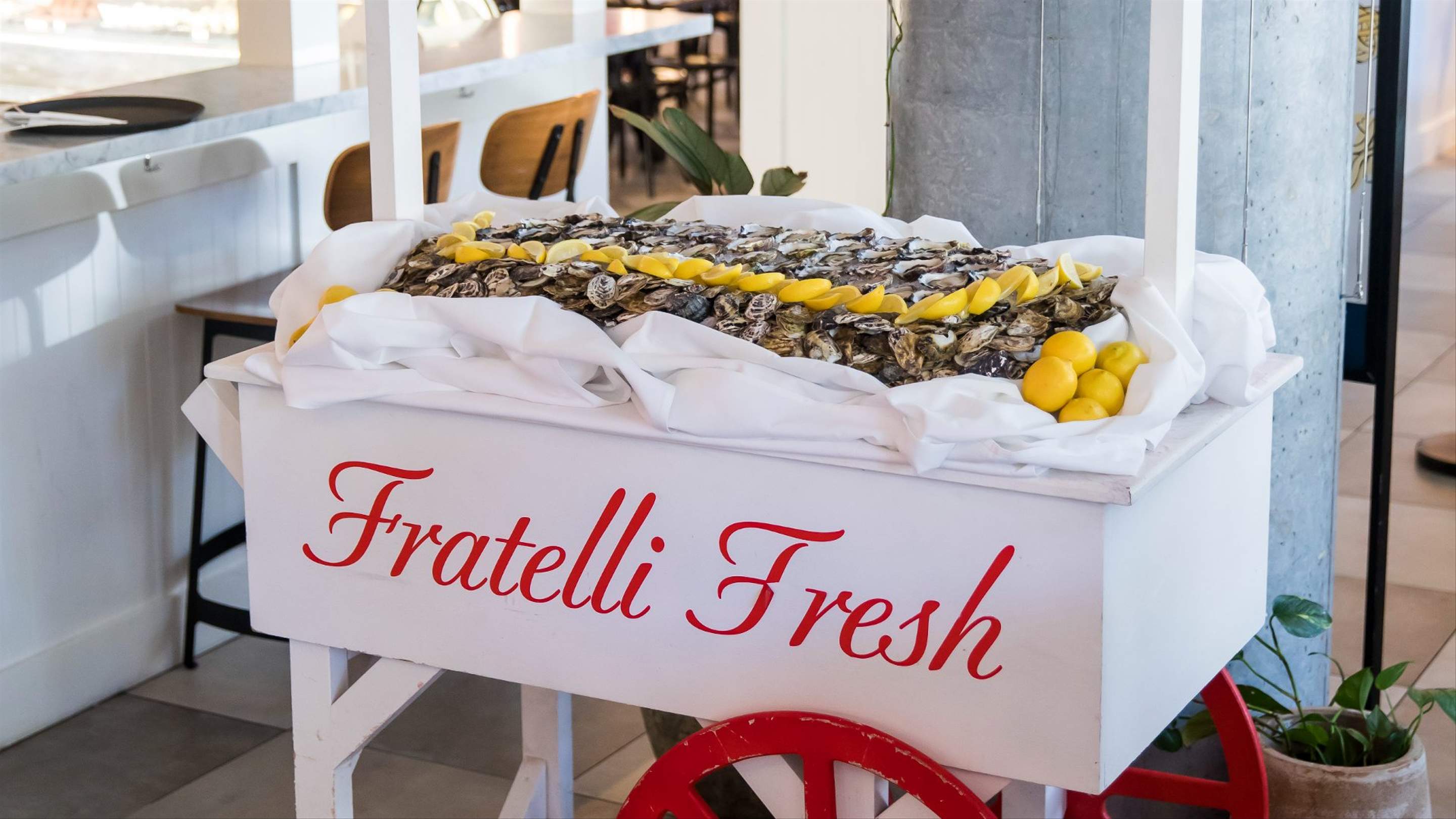 Oysters and Spritzes at Fratelli Fresh - Concrete Playground