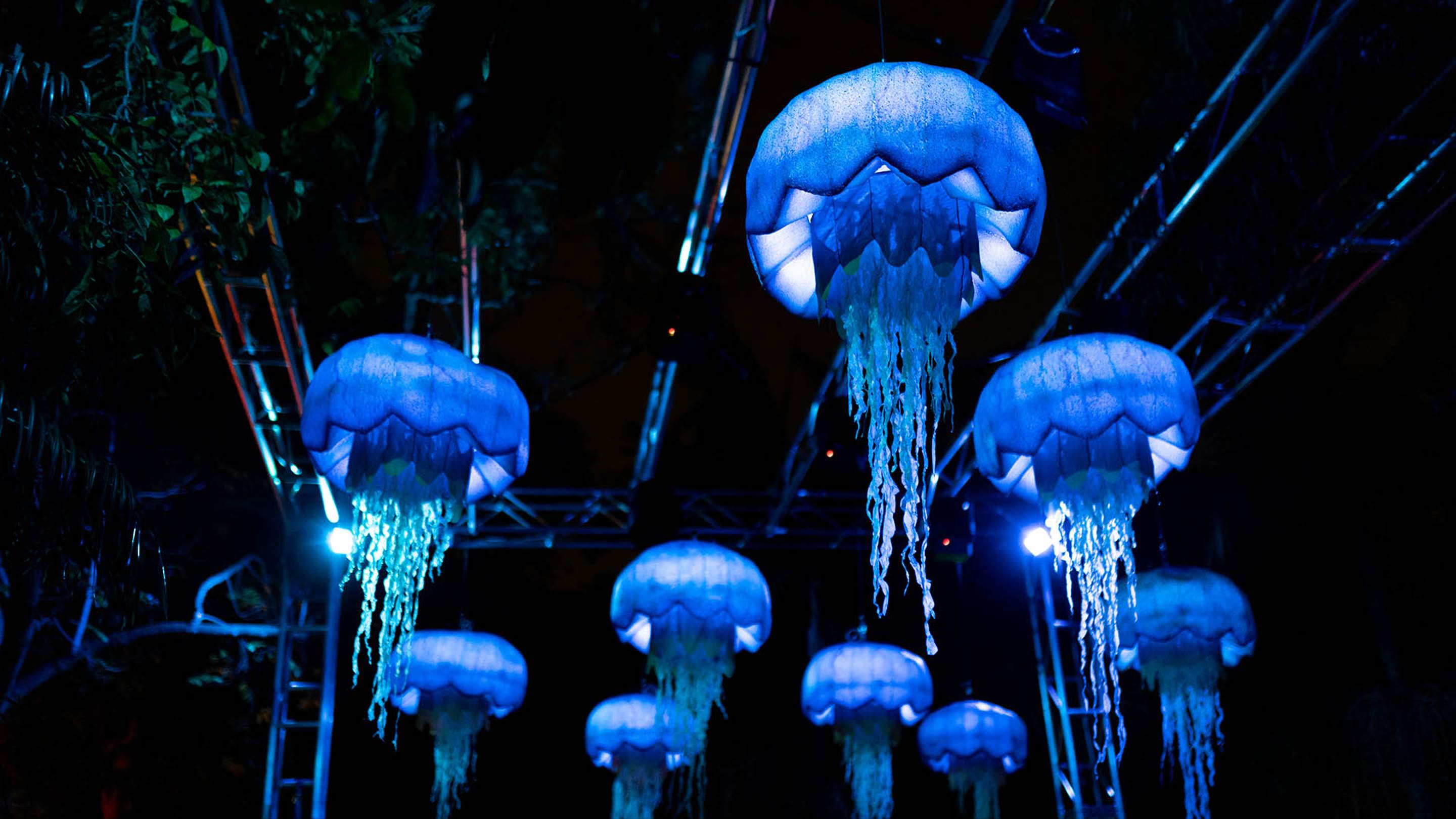 Illuminate Adelaide Is Back for 2023 with Art and Light Installations ...