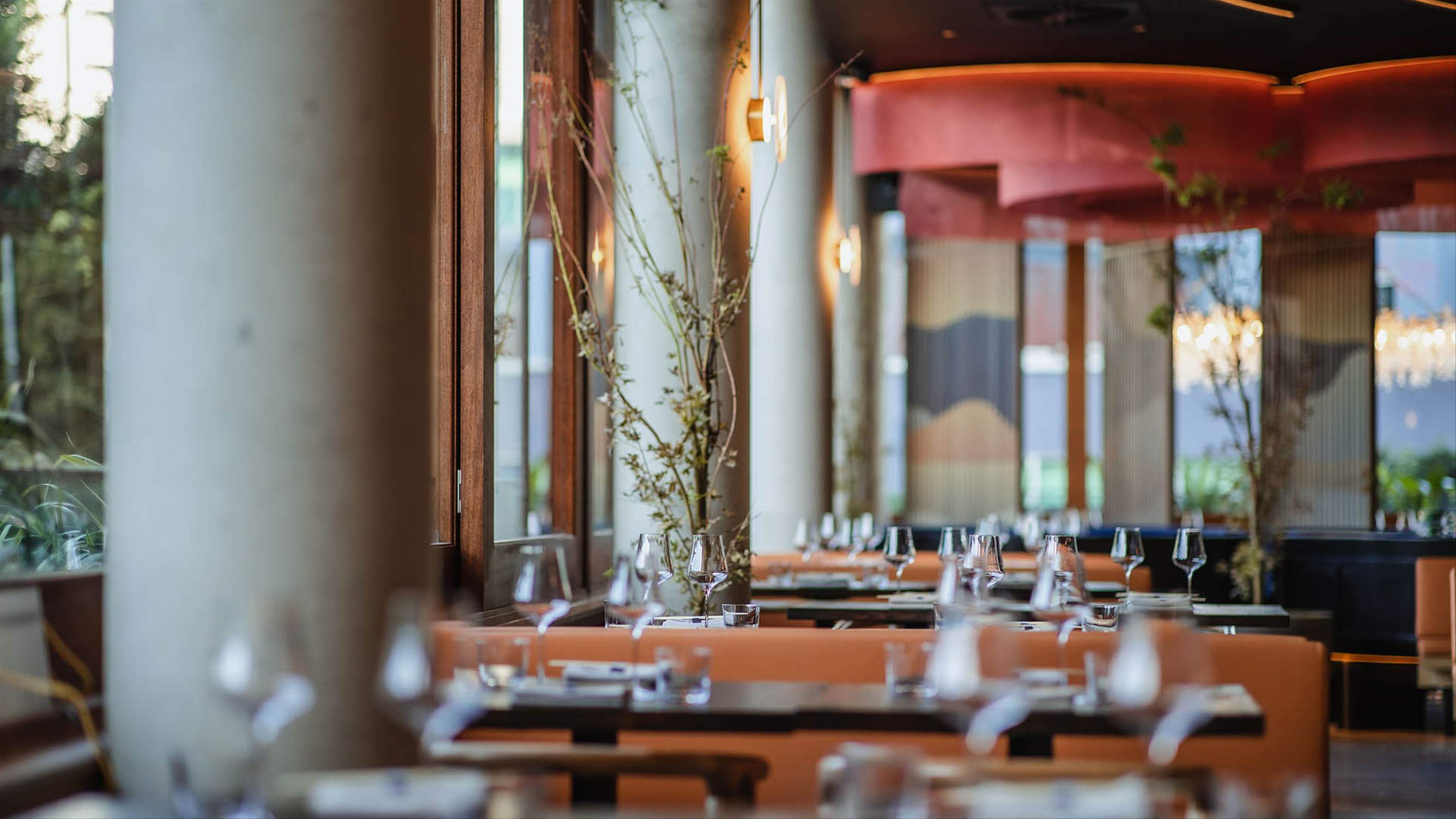 Ippin Japanese Dining, West End Review