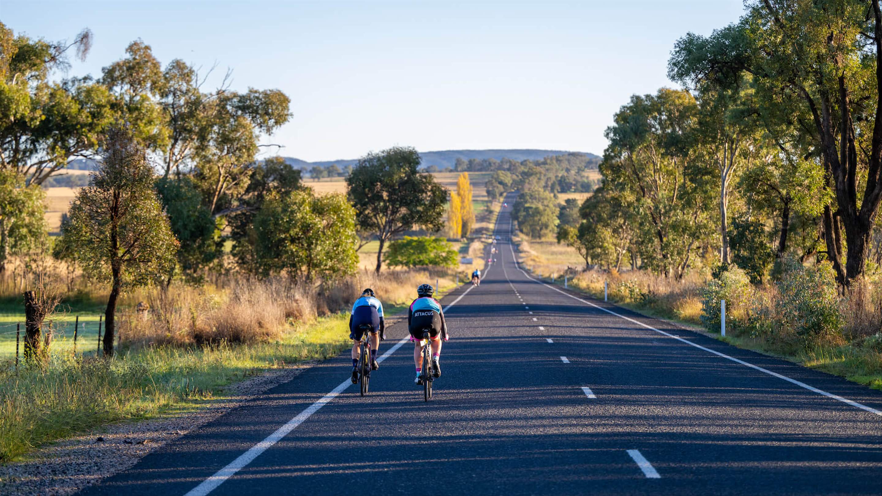 Mudgee Classic 2024 - Concrete Playground