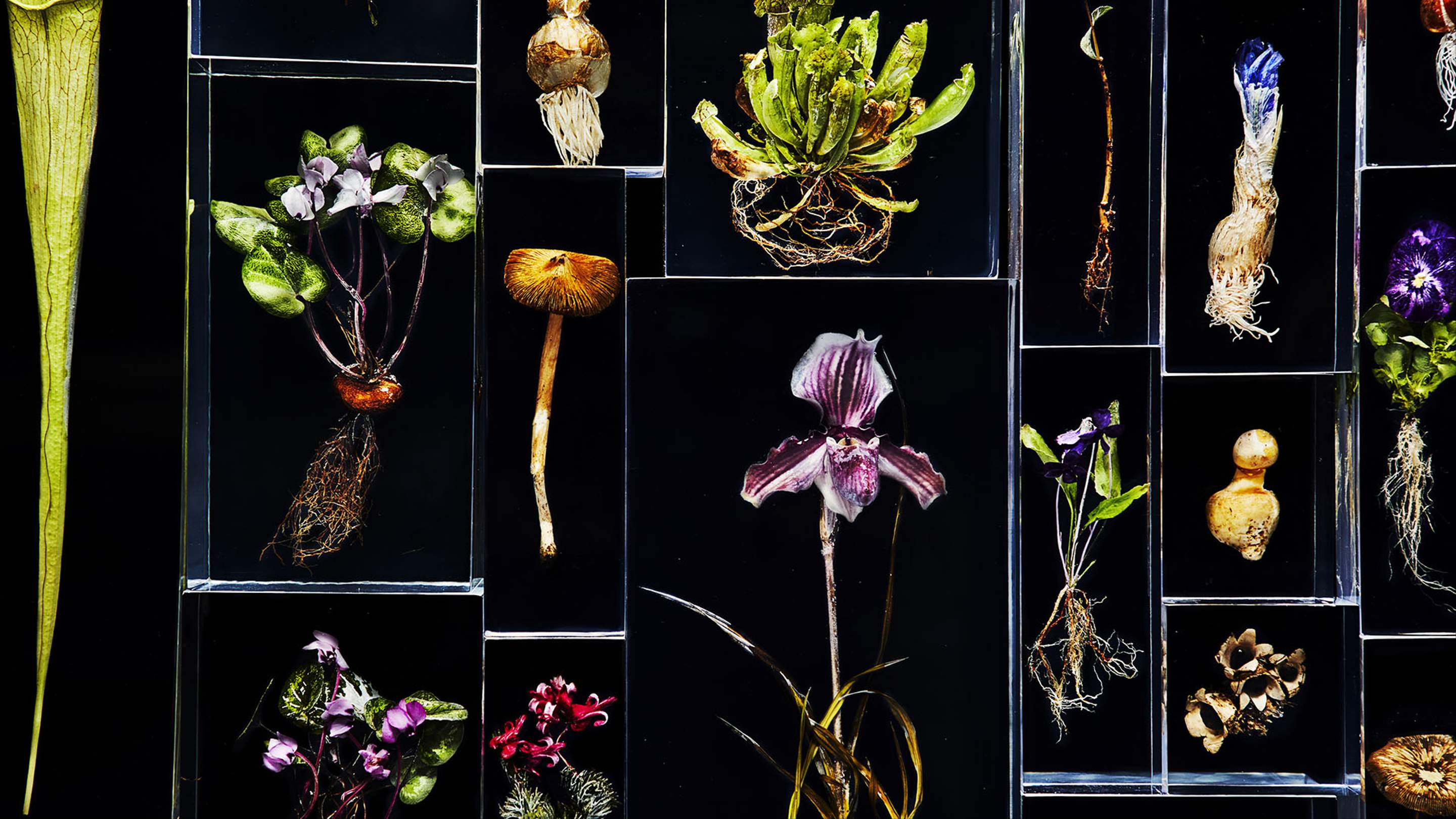 NGV Triennial 2023 Is Bringing Robot Dogs, Yoko Ono's Art and a Room ...