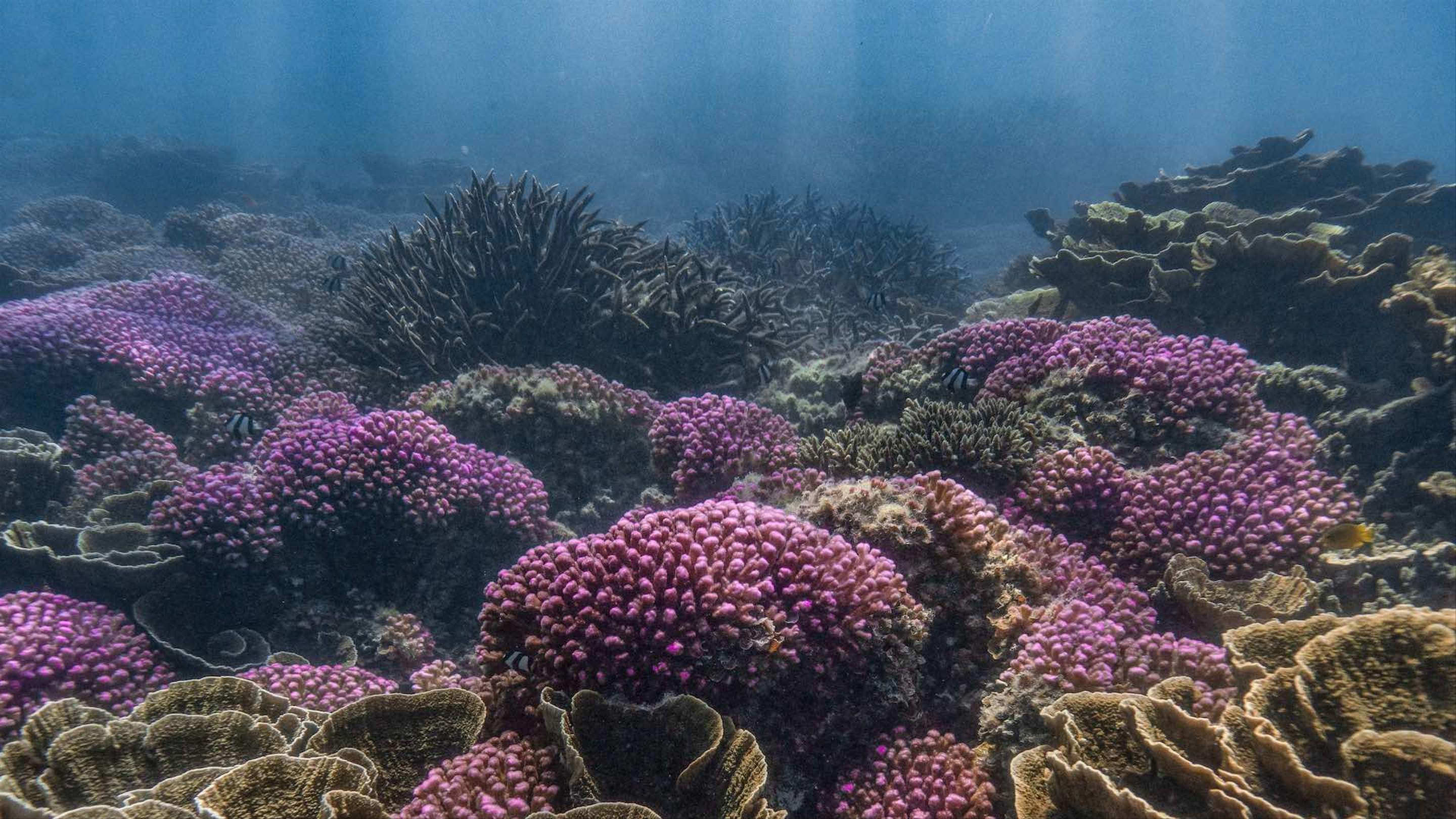 Nature's Wonderland: A Definitive Guide For a Spectacular Trip to ...