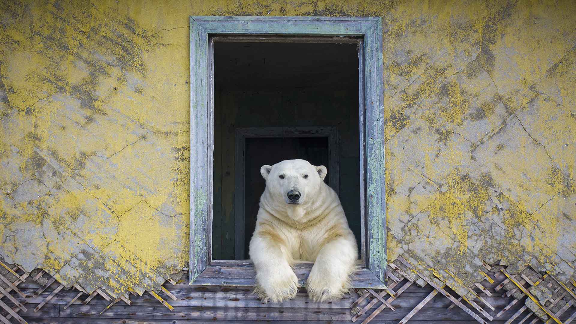 Wildlife Photographer of the Year 2023 - Concrete Playground Wildlife Photographer of the Year 2023 - Concrete Playground