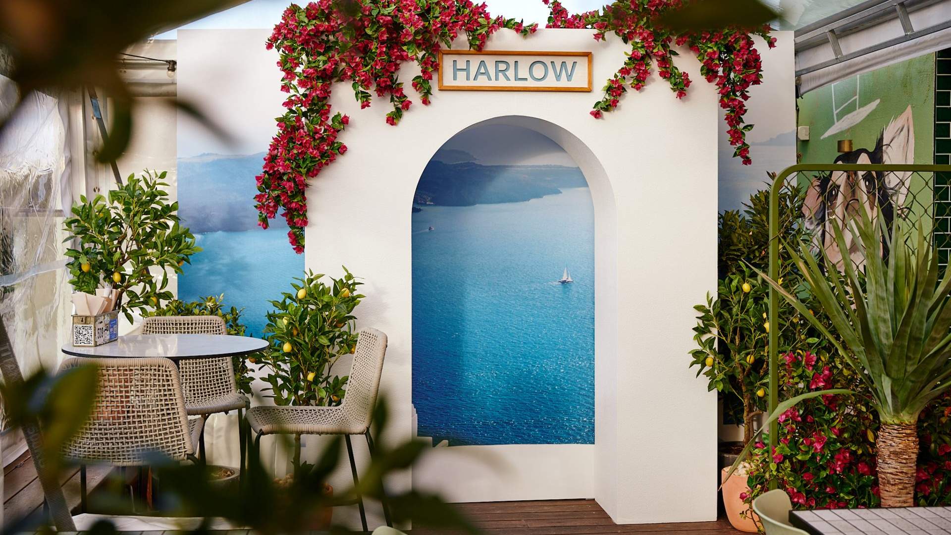 Disco Island at Harlow, Melbourne