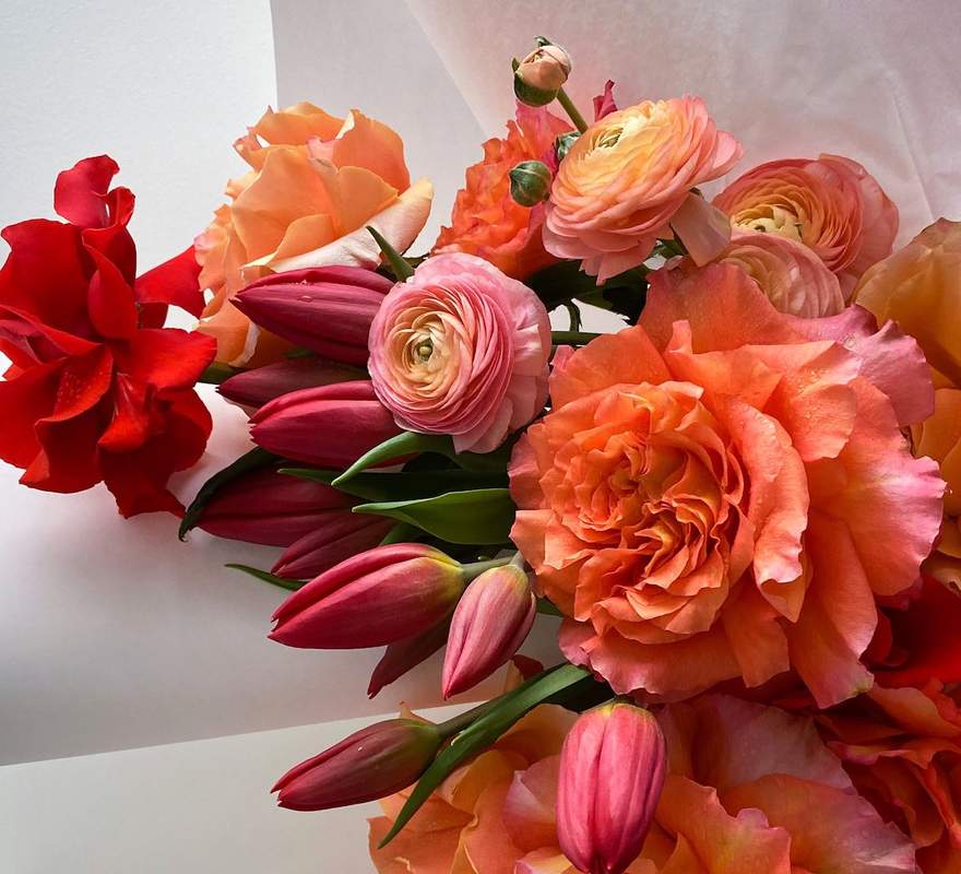 Kiko Design - Concrete Playground