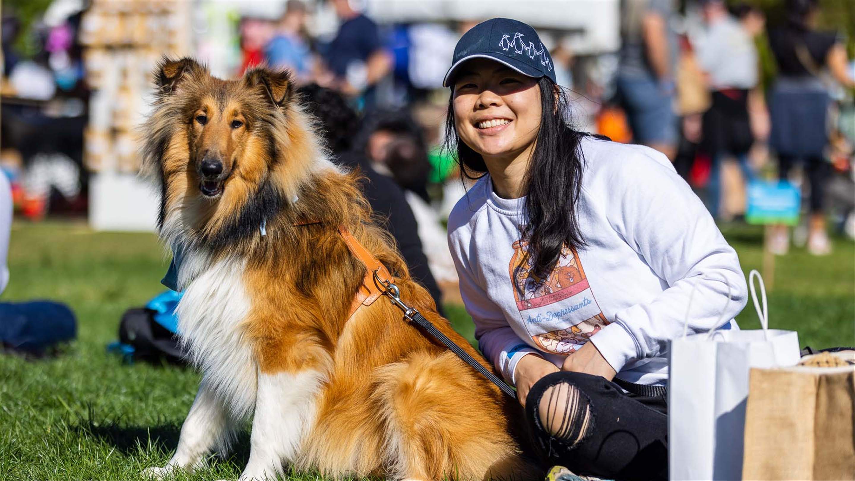 Million Paws Walk, Sydney: All the Details