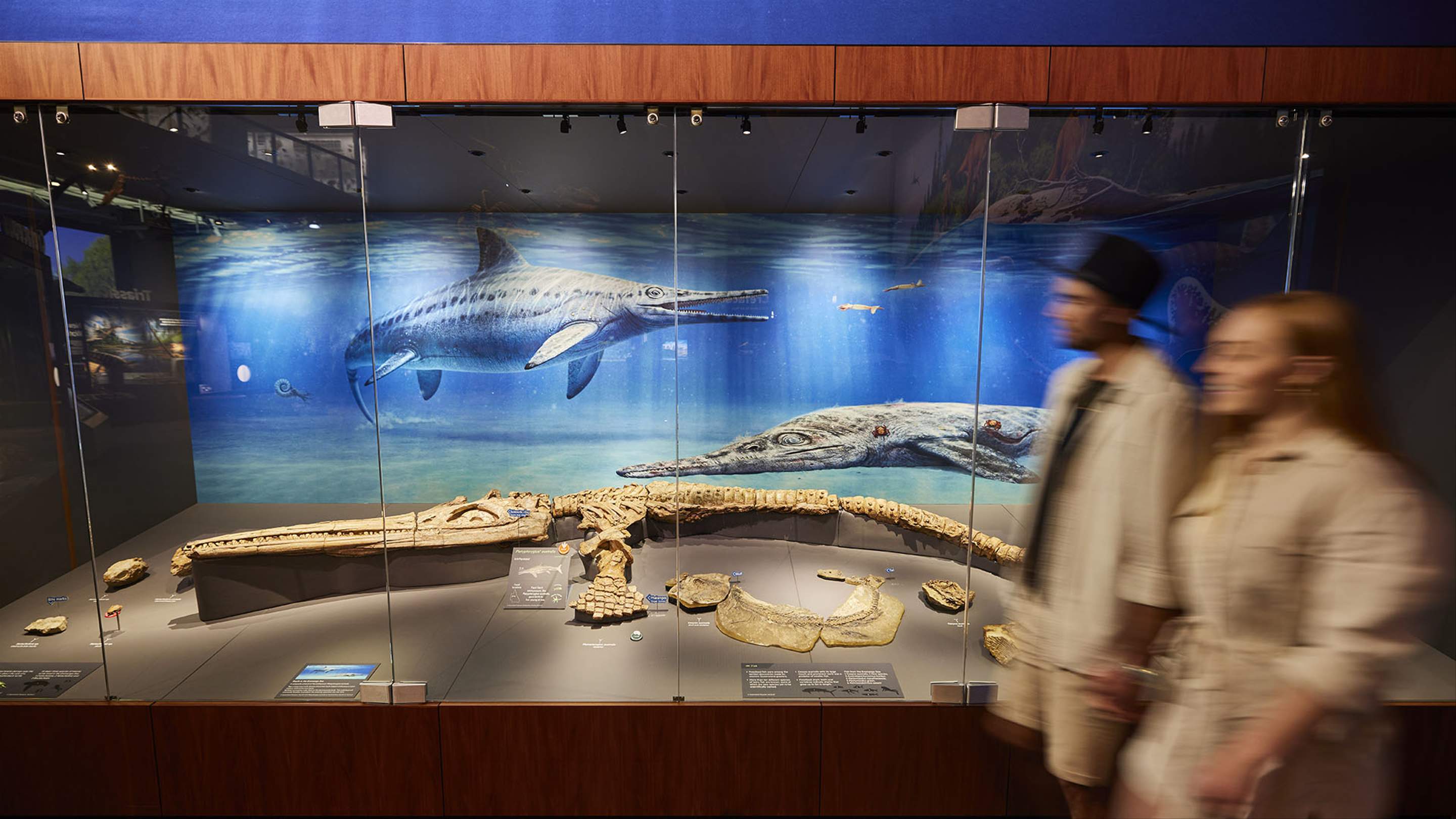 Queensland Museum Has Opened a New Permanent Dinosaur Gallery Filled ...