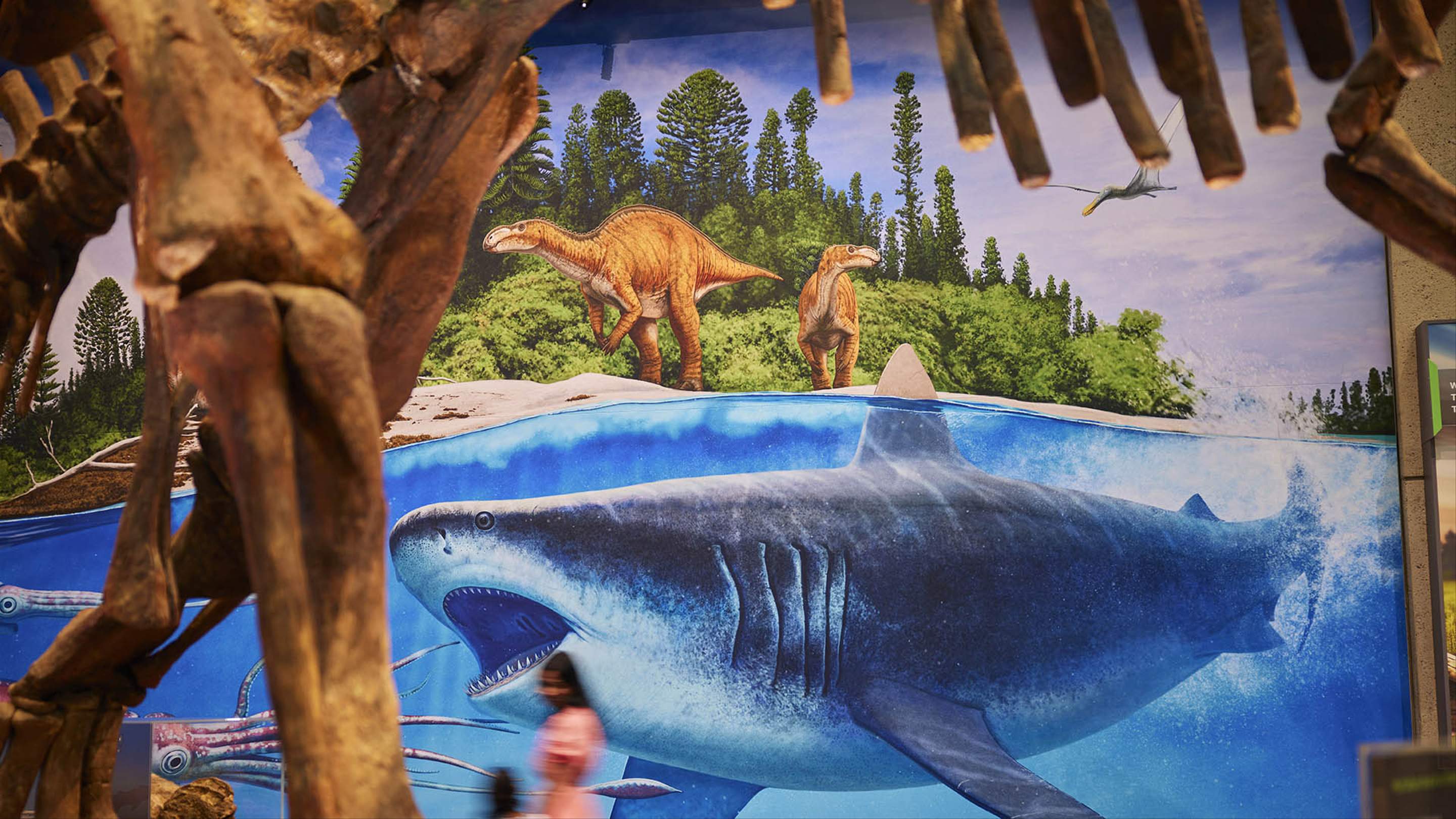 Queensland Museum Has Opened a New Permanent Dinosaur Gallery Filled ...