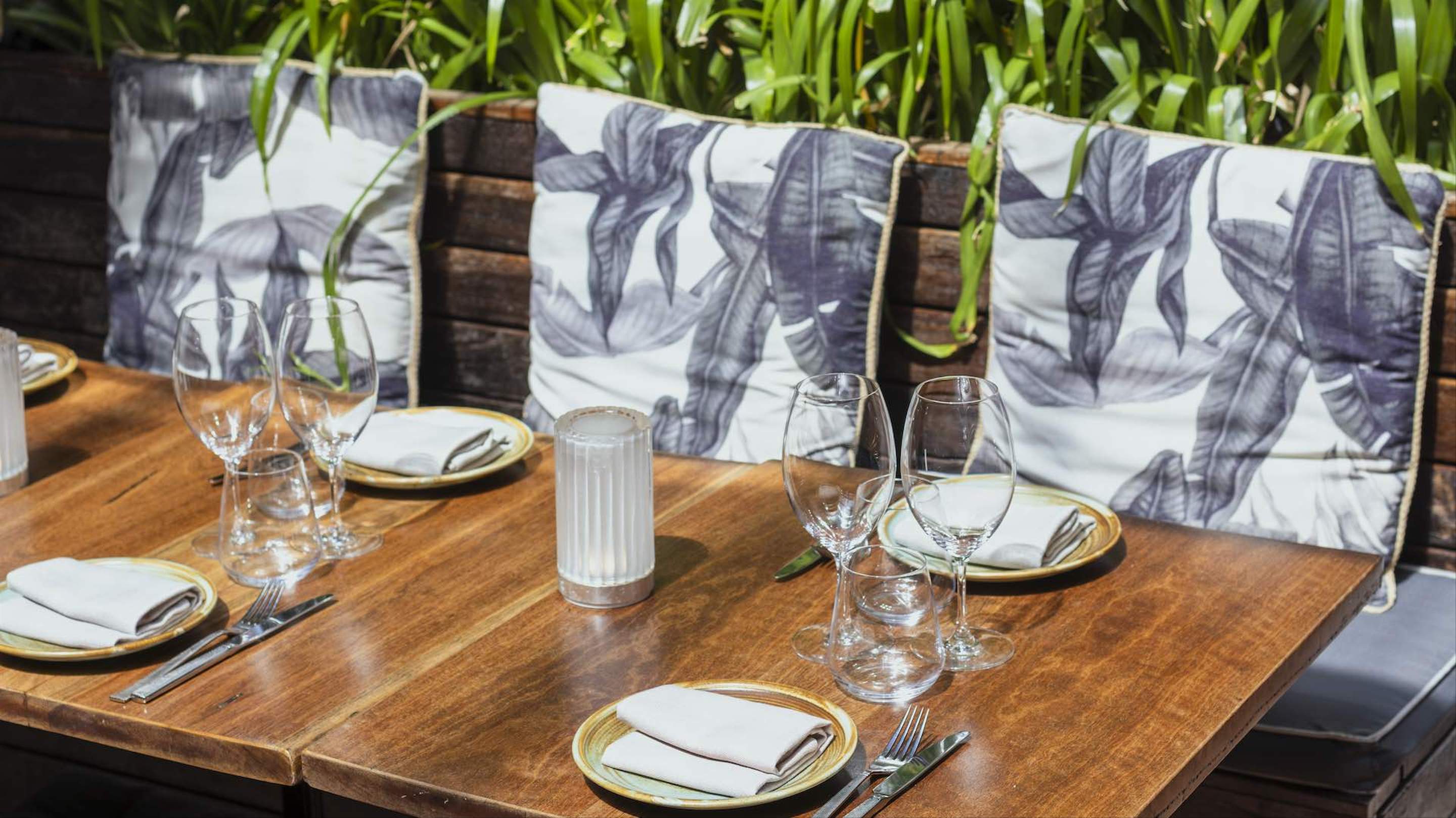 Tequila Mockingbird, Paddington Review