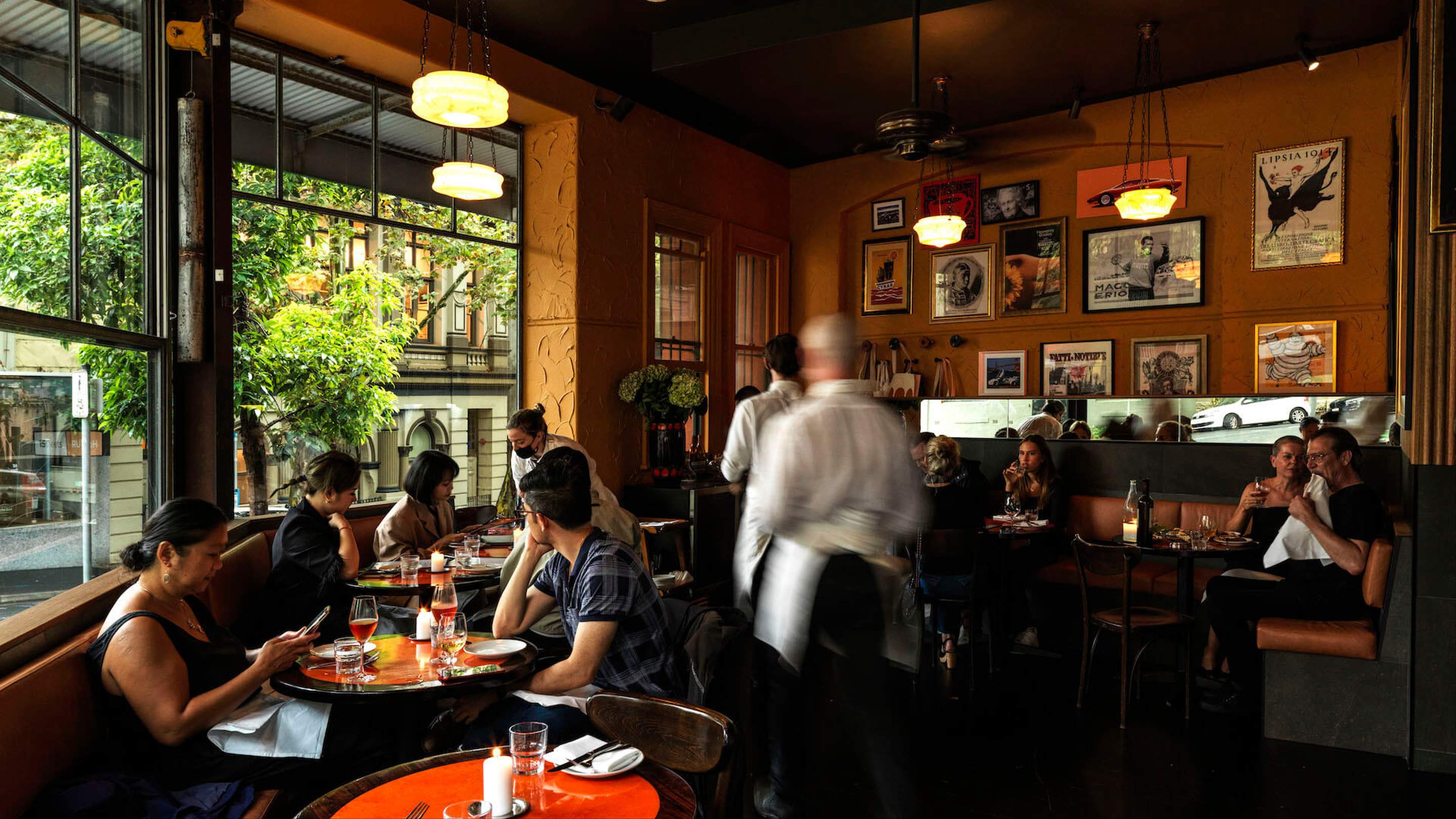 Pellegrino 2000, Surry Hills Review