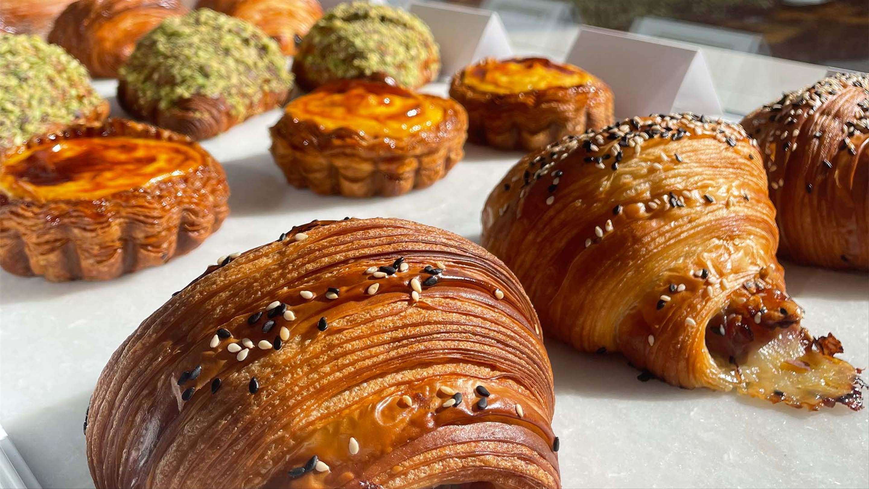 Lode Pies and Pastries Circular Quay Is Giving Away Free Coffee ...