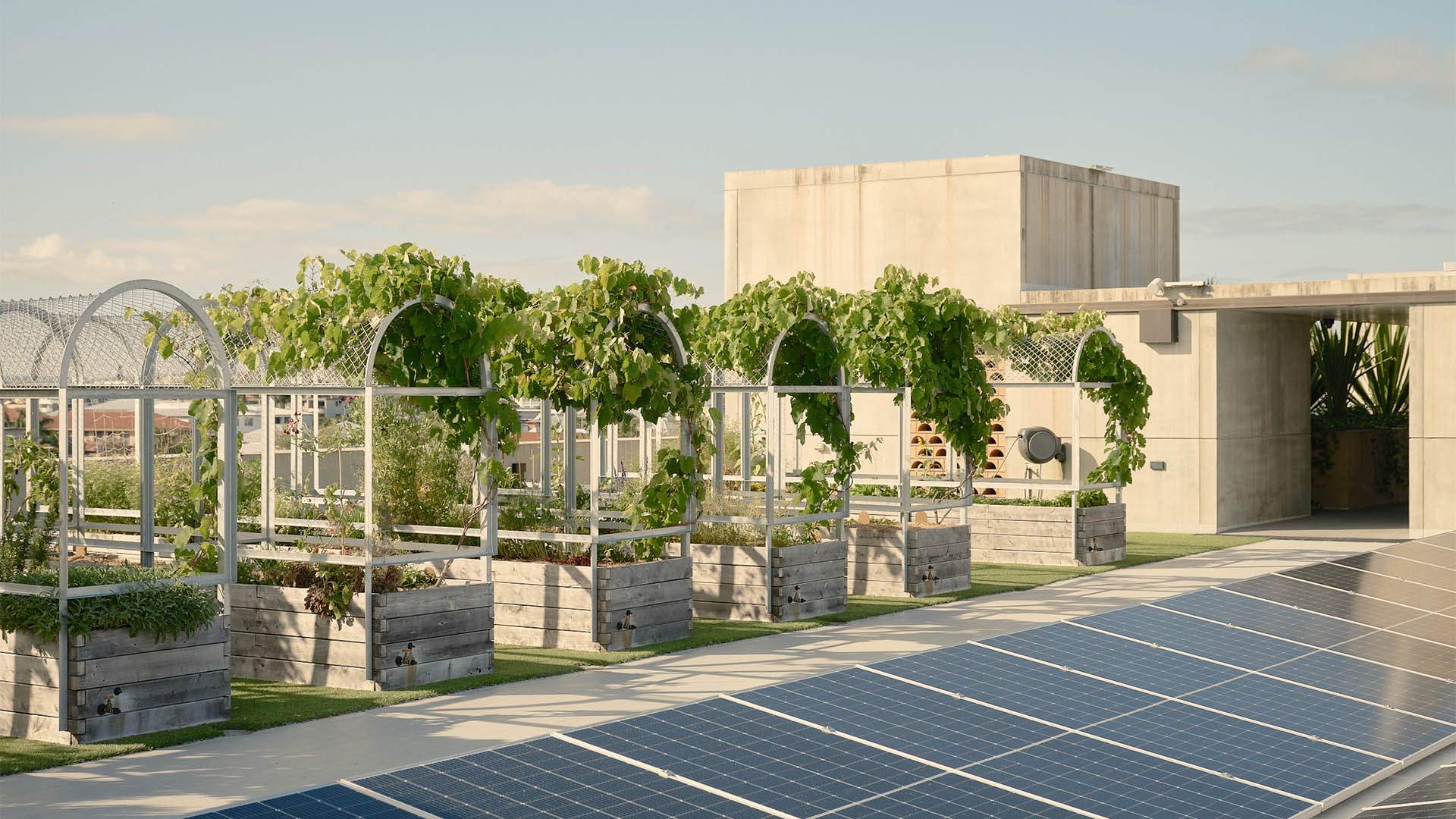 The Calile's Lobby Bar Is Now Serving Rooftop-to-Table Dishes Thanks to ...