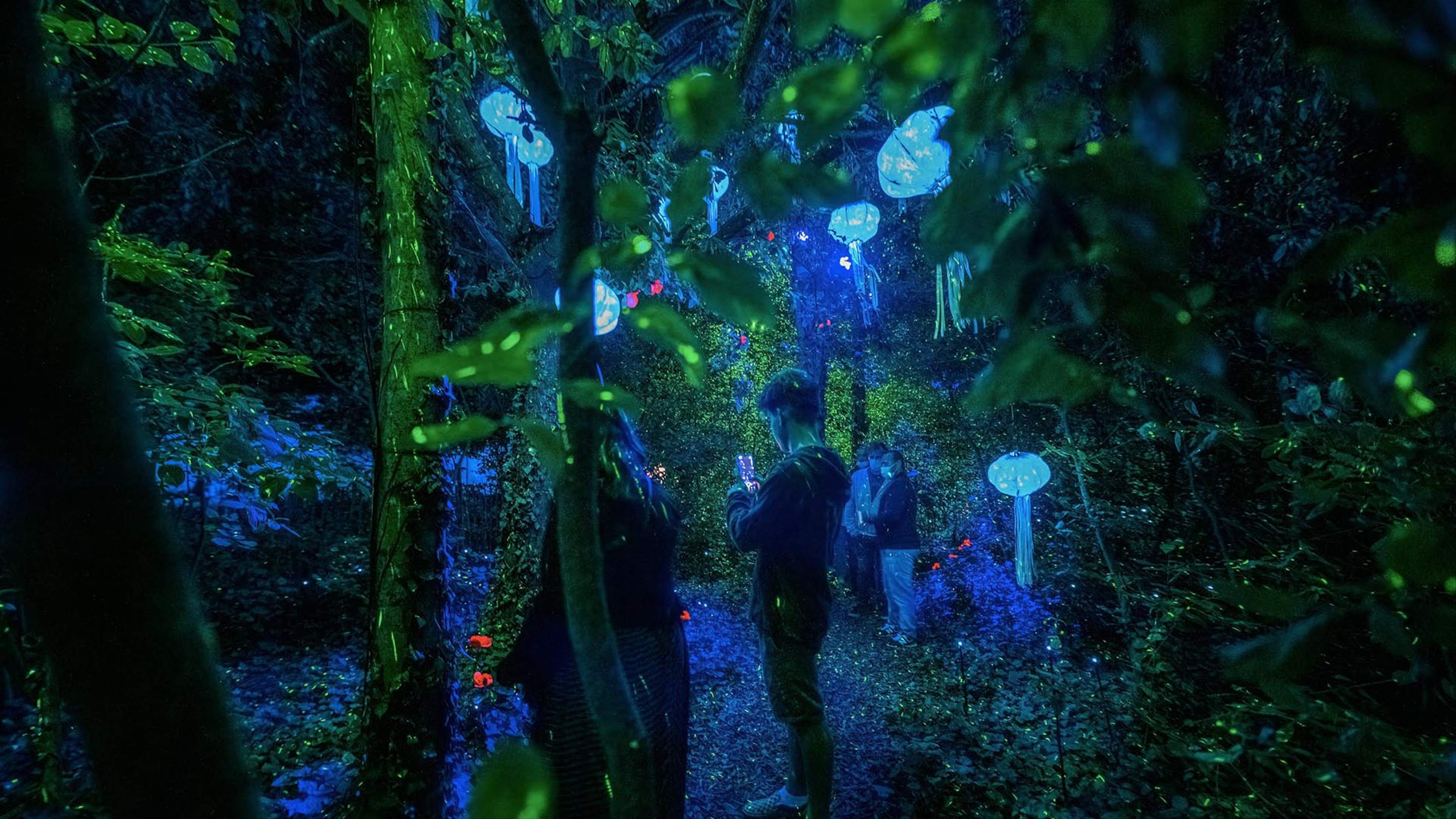 A Lit-Up Lumina Night Walk Will Soon Be Dazzling Brisbane's Mt Coot-tha ...