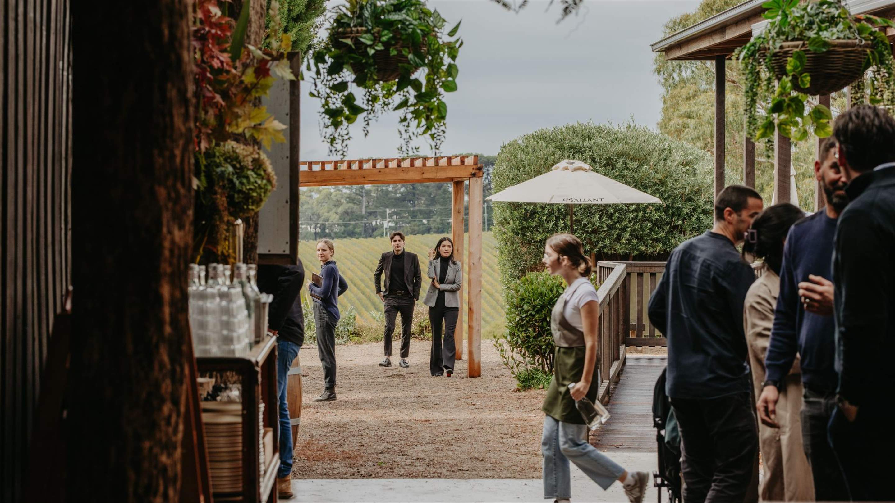 T'Gallant Vineyard, Main Ridge Review